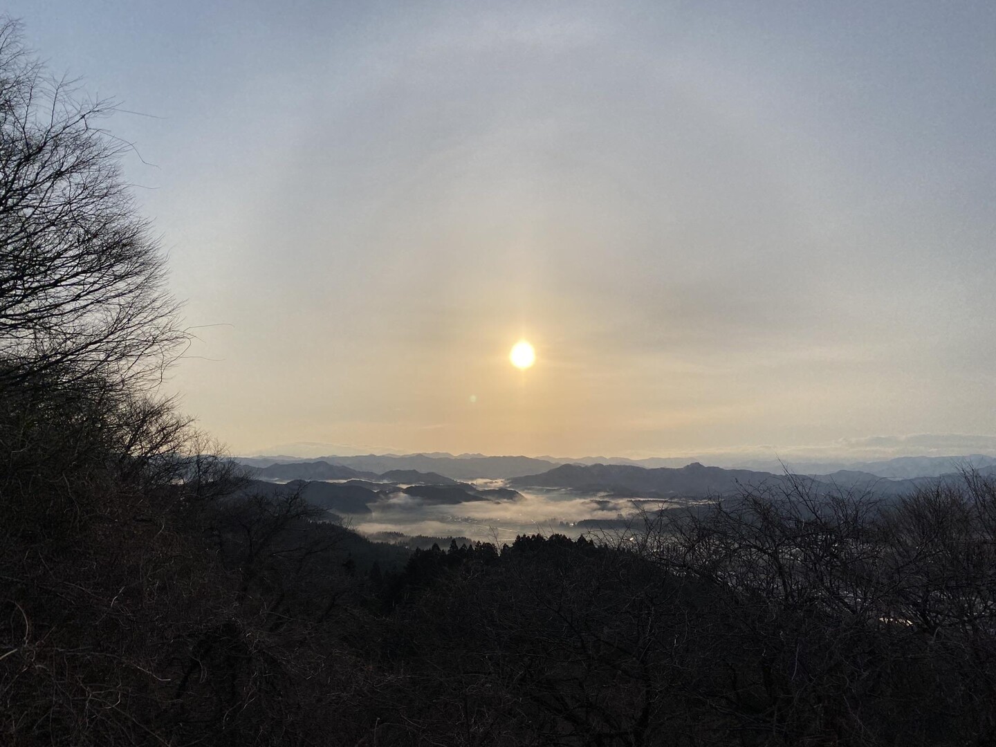 岡本登山口から森山周回〜 / みいこさんの森山・高岳山の活動日記 | YAMAP / ヤマップ