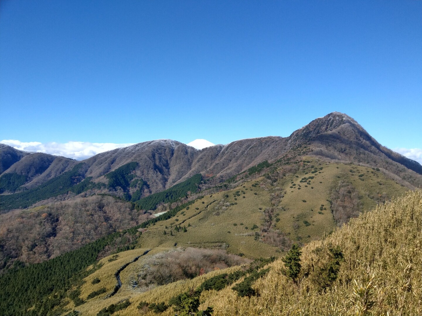 #29 金時山経由、足柄駅から行く箱根湯寮への巻 / syn.michee🌈さんの金時山・明神ヶ岳の活動データ | YAMAP / ヤマップ