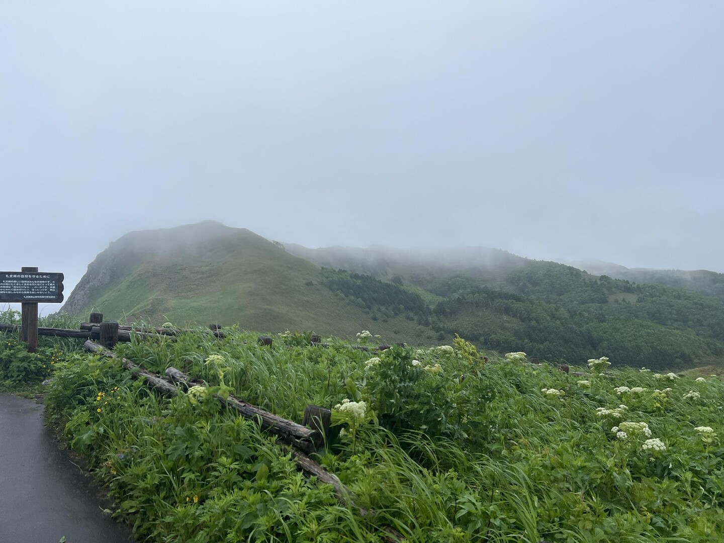 礼文島-悪天候で撤退 / aryuaryuさんの礼文島の活動データ | YAMAP / ヤマップ