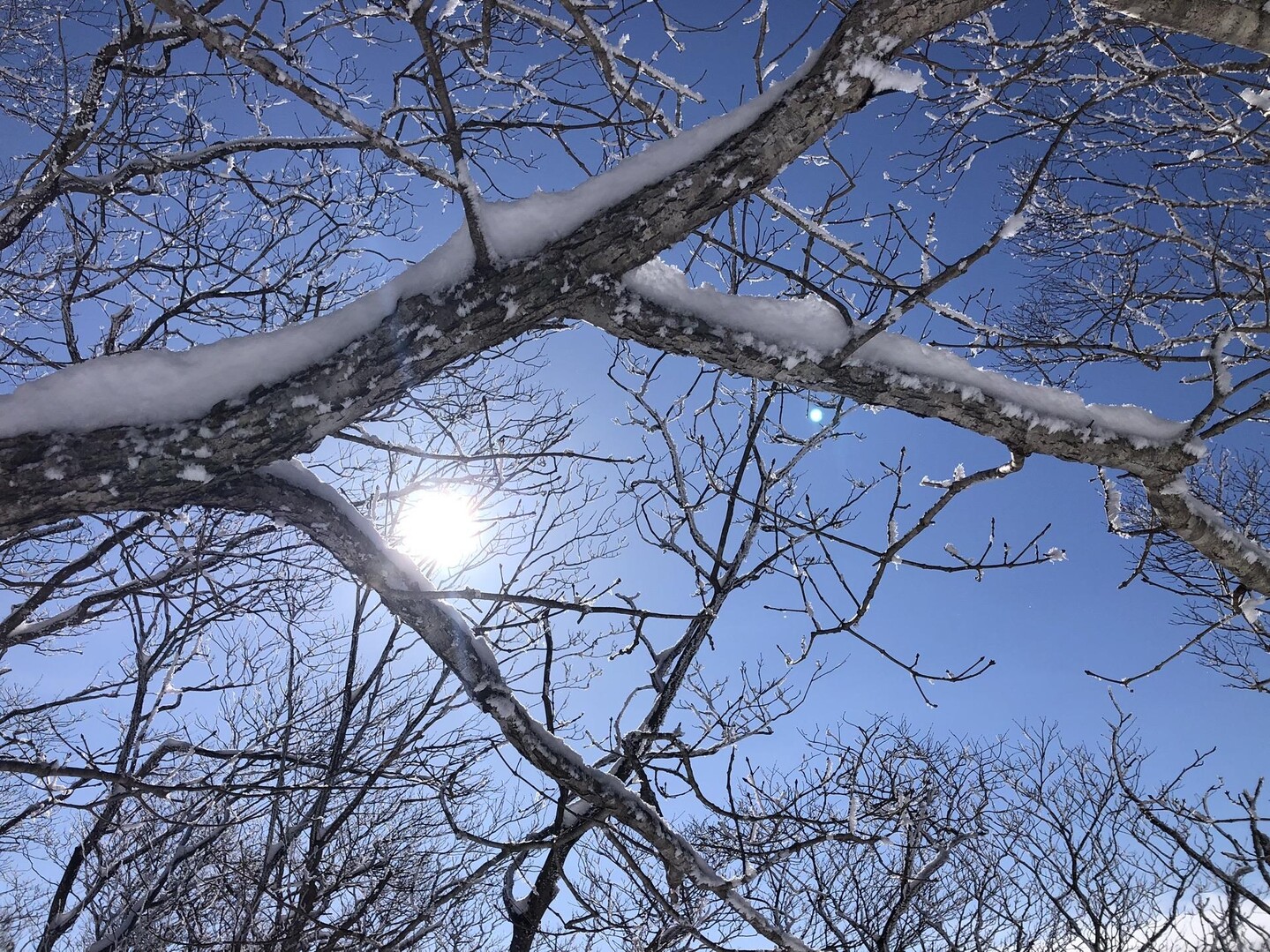 姫神山 / yamacchiさんの姫神山の活動データ | YAMAP / ヤマップ