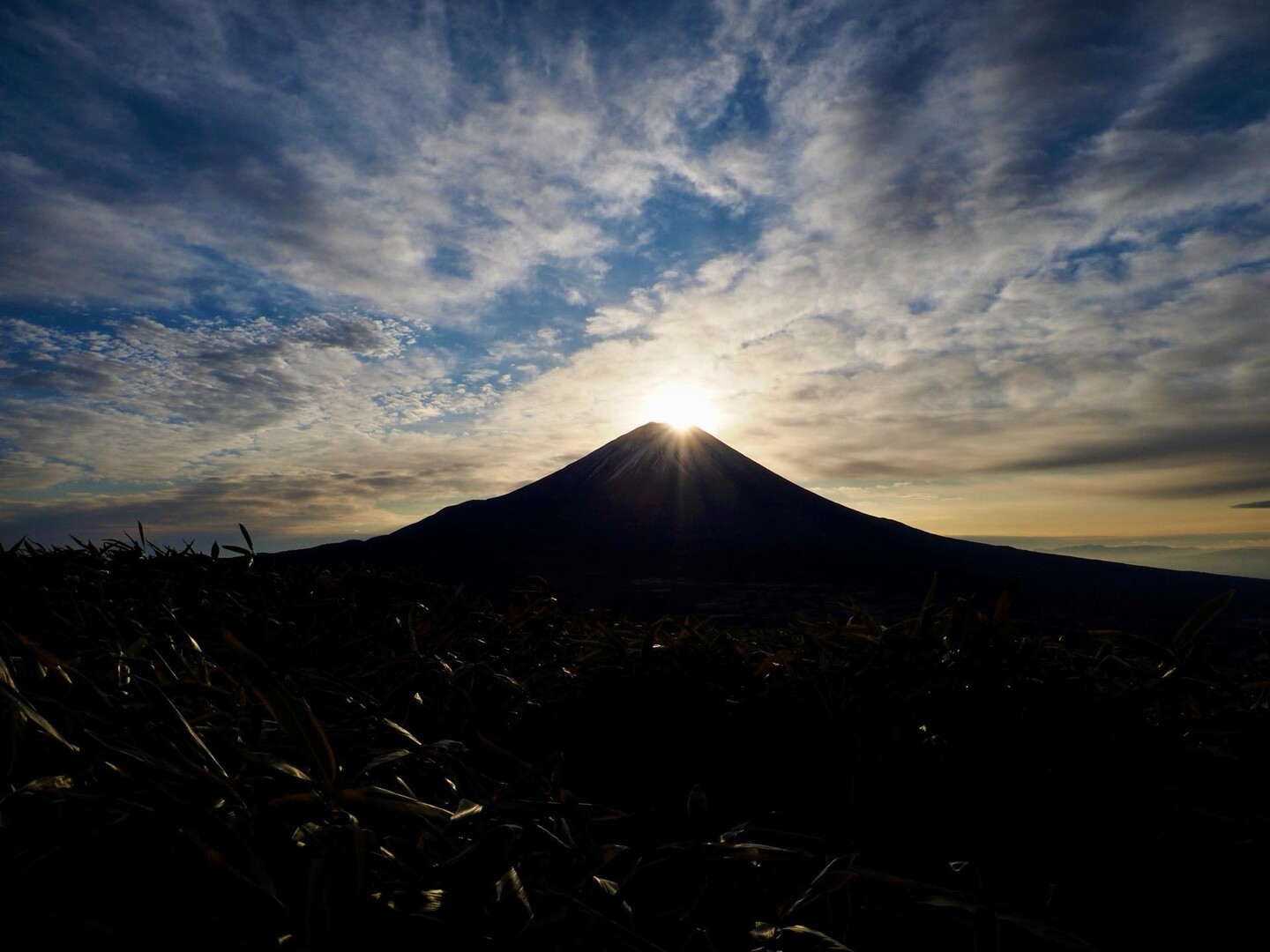 The last dragon of this year🐉 / sayuky73（さゆき）さんの毛無山・雨ヶ岳・竜ヶ岳の活動日記 | YAMAP / ヤマップ