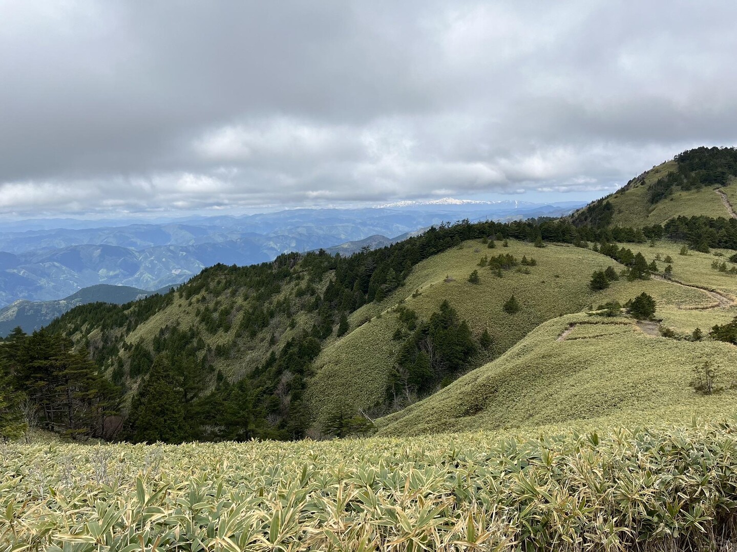 白草山 & 箱岩山 / kunitaroさんの白草山・寺田小屋山の活動日記 | YAMAP / ヤマップ