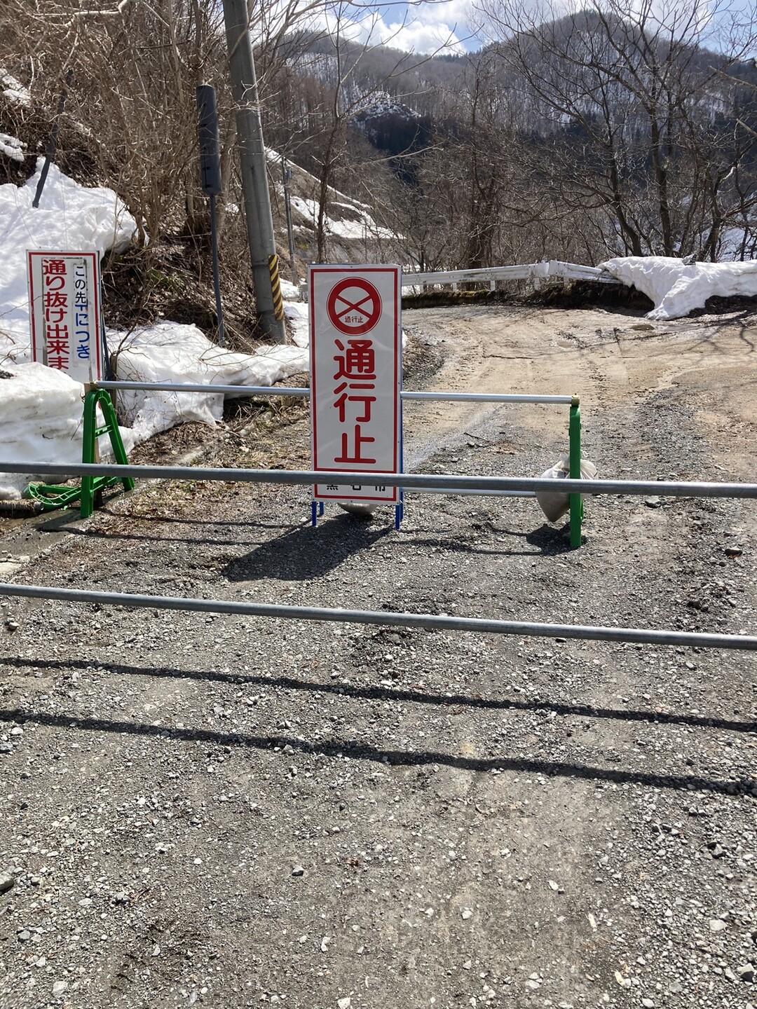 午前中天気が良く無いので山菜採取へ。 中... / riseさんのモーメント | YAMAP / ヤマップ