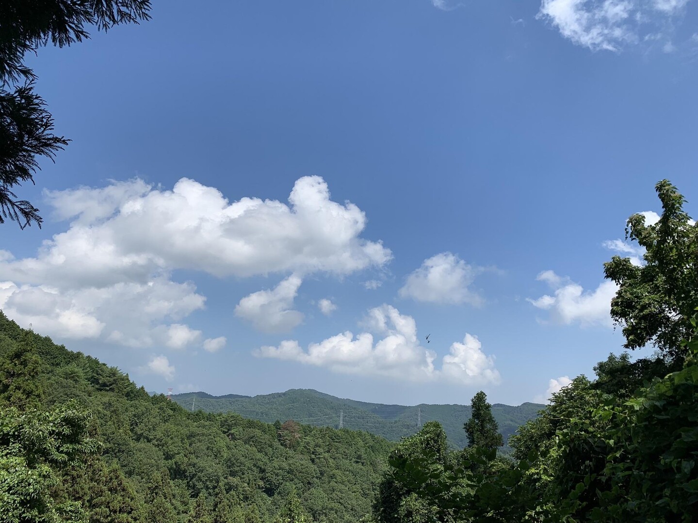 歩け歩け運動⚽️ 1万歩を達成目指して ... / seekaさんのモーメント | YAMAP / ヤマップ