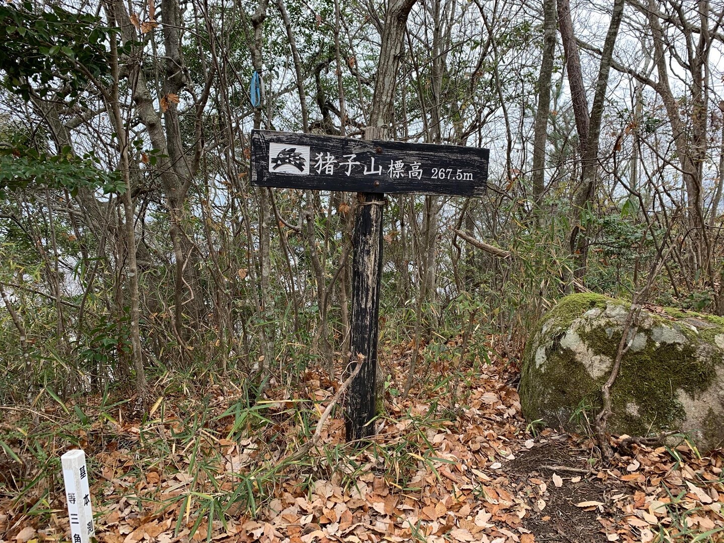 猪子山 / fukapuさんの荒神山の活動データ | YAMAP / ヤマップ