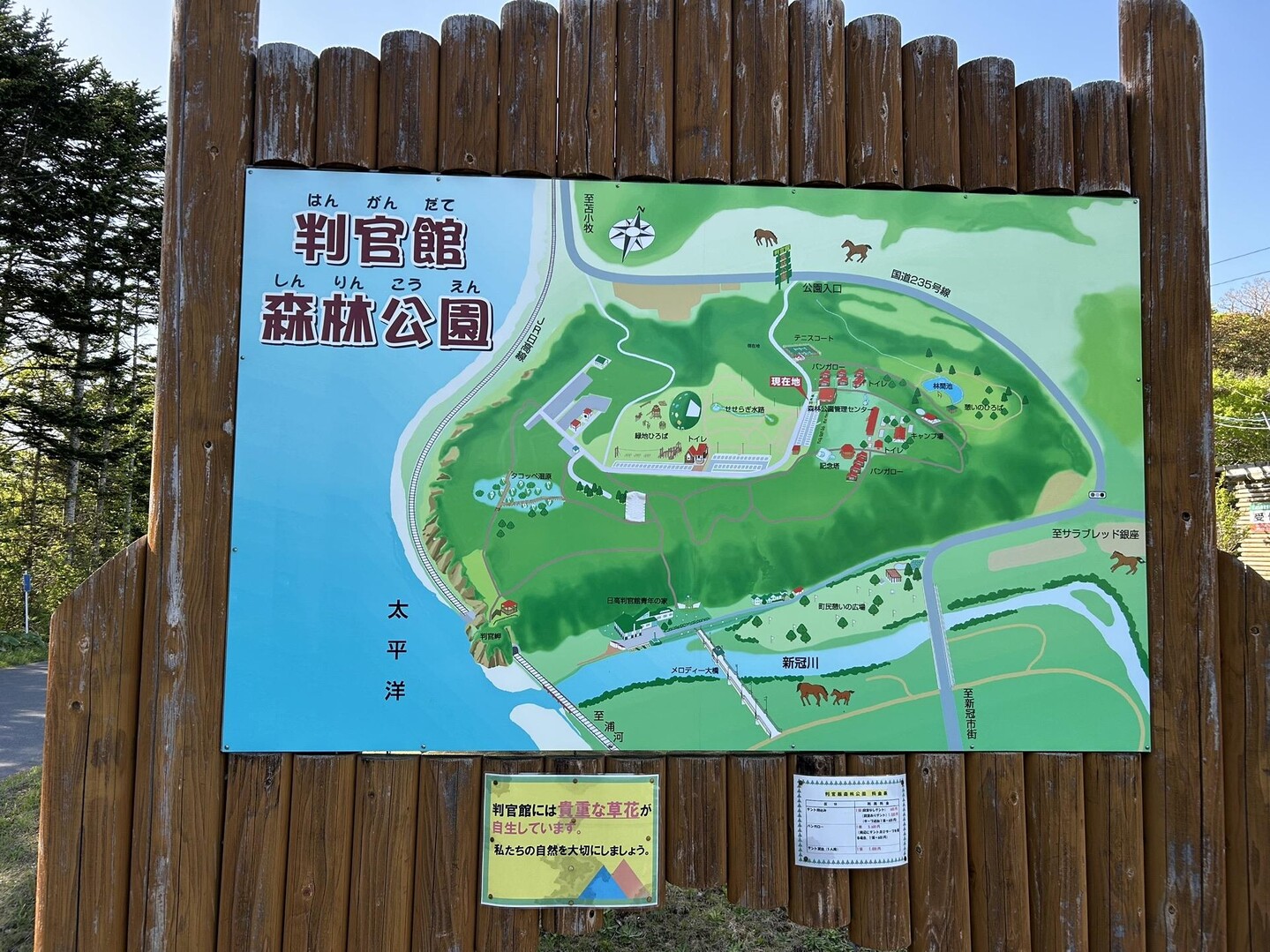 お忍び🥷（4/4）新冠判官館山 / ike.ike.ike-ponさんの賀張山の活動データ | YAMAP / ヤマップ