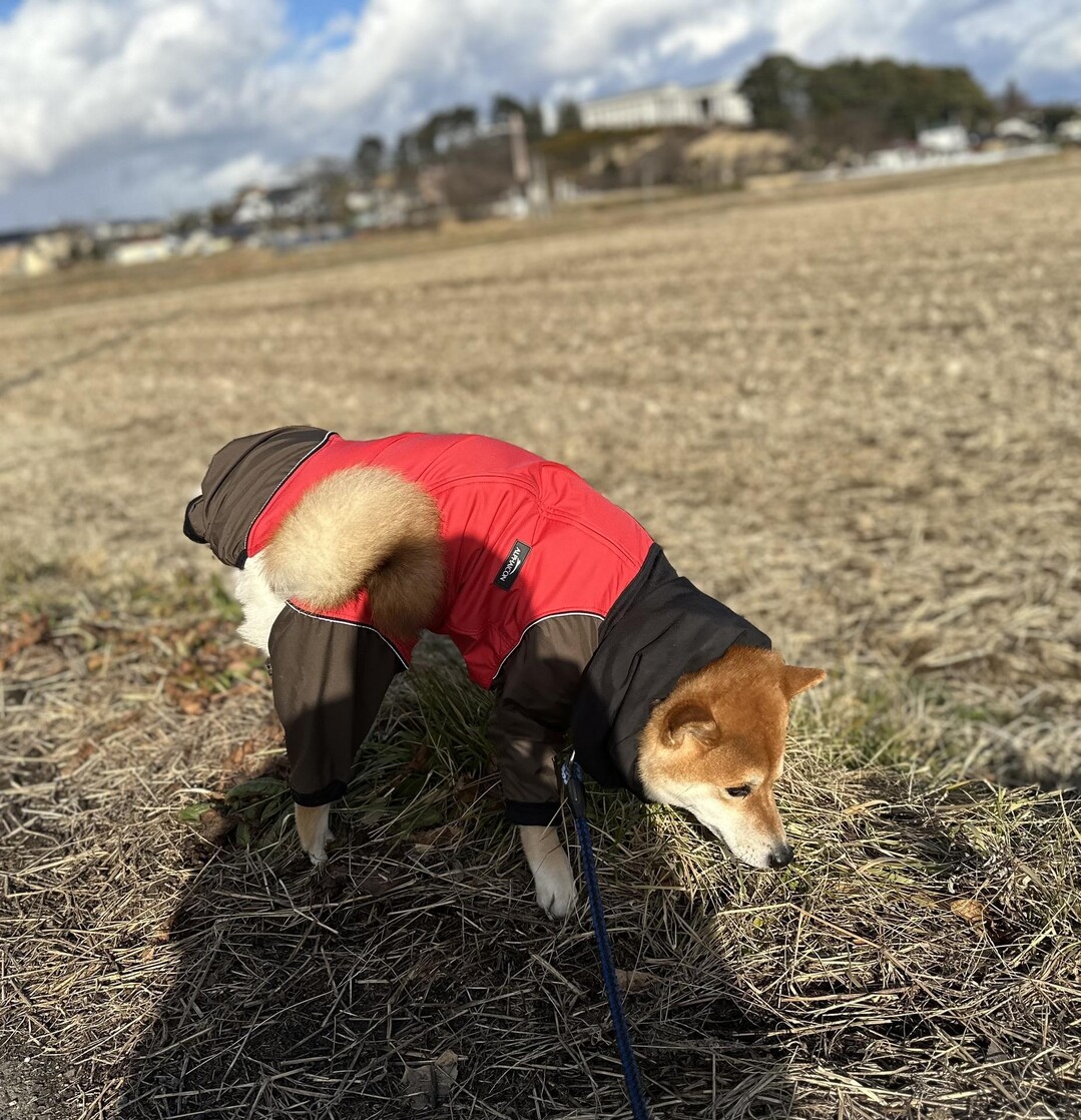 3点支持・・・つまりこう言う事？😜 / 黒ヒゲさんのモーメント | YAMAP / ヤマップ