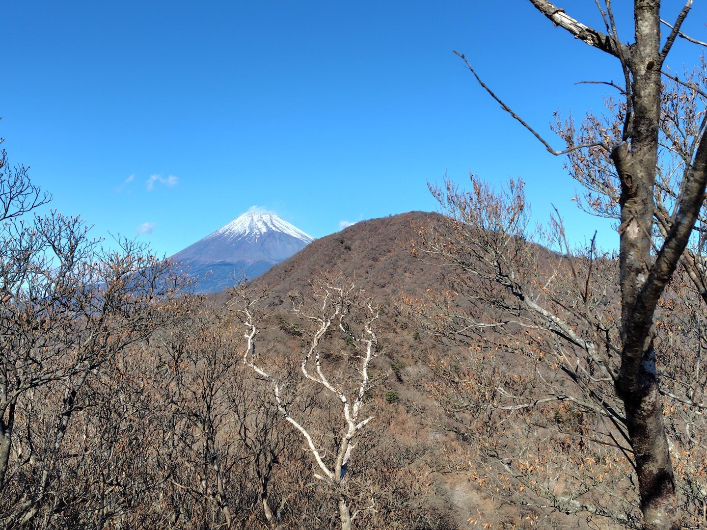 黒岳・越前岳・呼子岳 / つかつかどんさんのFUJISAN LONG TRAIL（愛鷹・富士南麓エリア SOUTH）の活動データ | YAMAP / ヤマップ