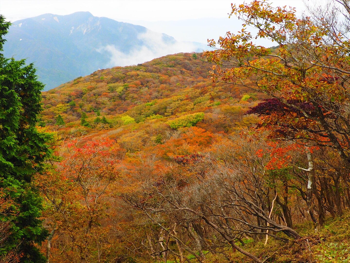 国見岳・青岳 / sensaさんの御在所岳（御在所山）・雨乞岳の活動データ | YAMAP / ヤマップ