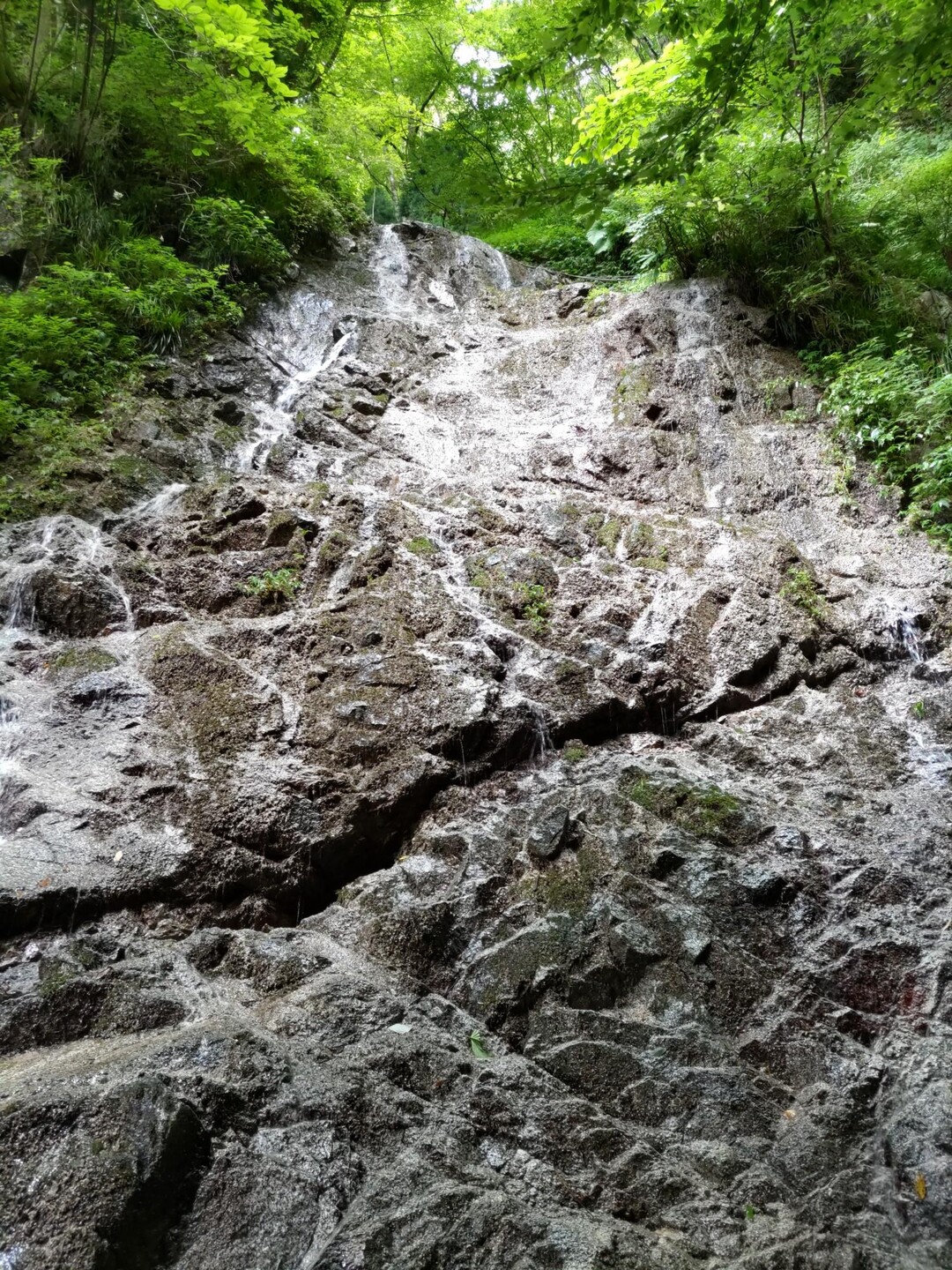 丸滝谷コース 金剛山 / T64さんの金剛山・二上山・大和葛城山の活動データ | YAMAP / ヤマップ