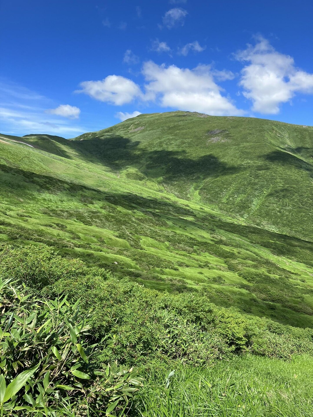 春のBCに向けての下見2023-08-10 / ERさんの羽山・羽黒山・月山の活動データ | YAMAP / ヤマップ