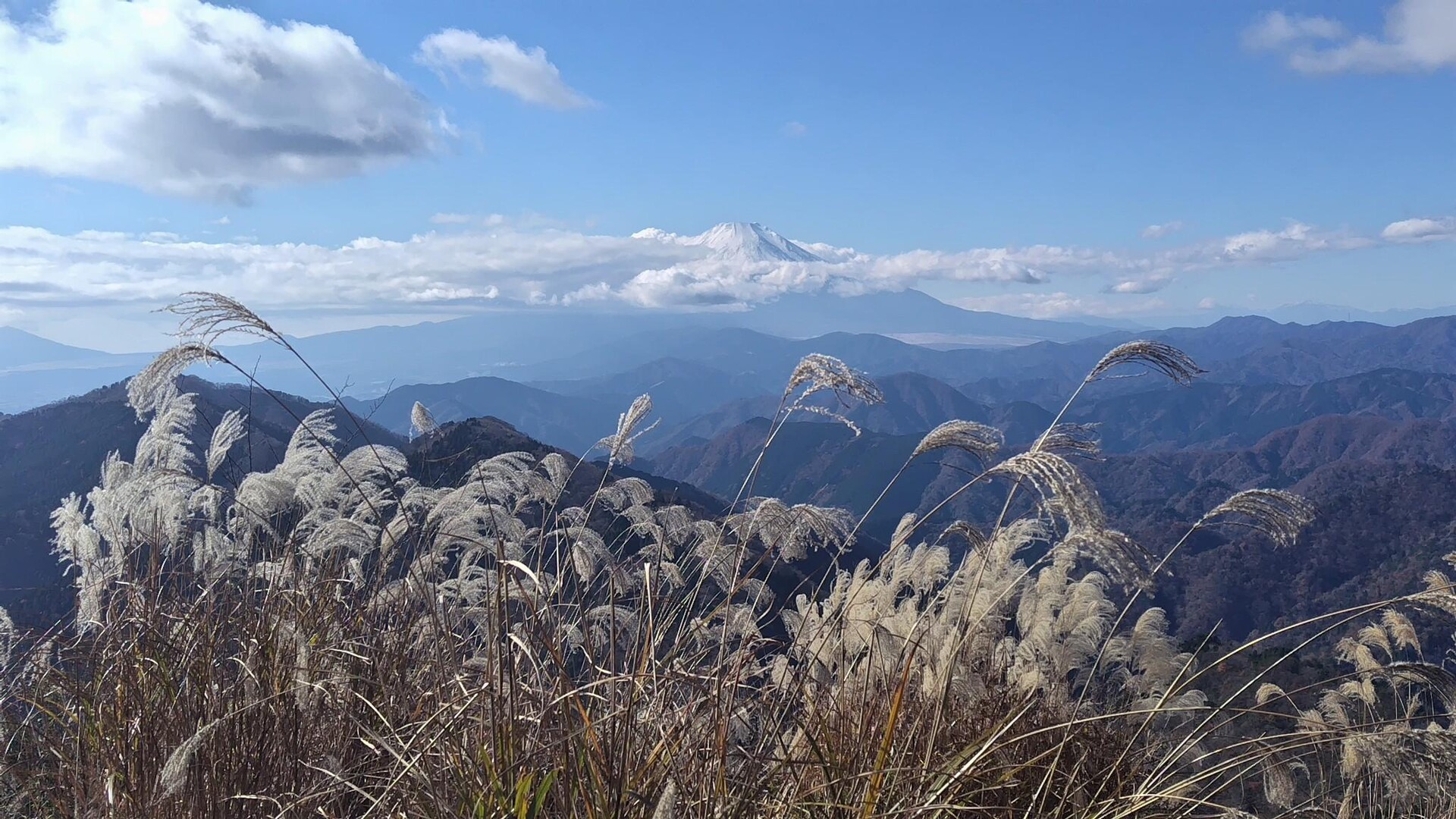 鍋割山 / jun_6352さんの塔ノ岳・丹沢山・蛭ヶ岳の活動日記 | YAMAP / ヤマップ