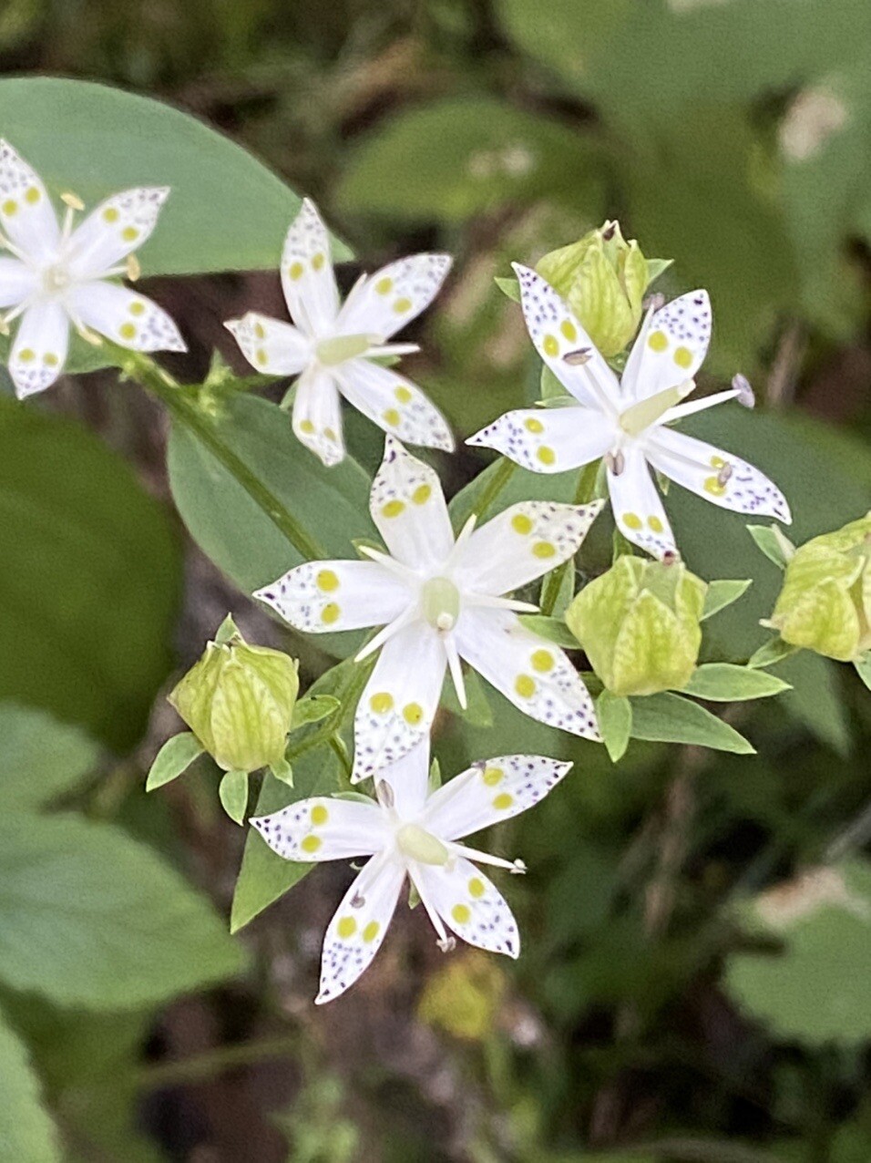爽やかな秋晴れ！ お花先生otaksaさ... / Yukakoさんのモーメント | YAMAP / ヤマップ