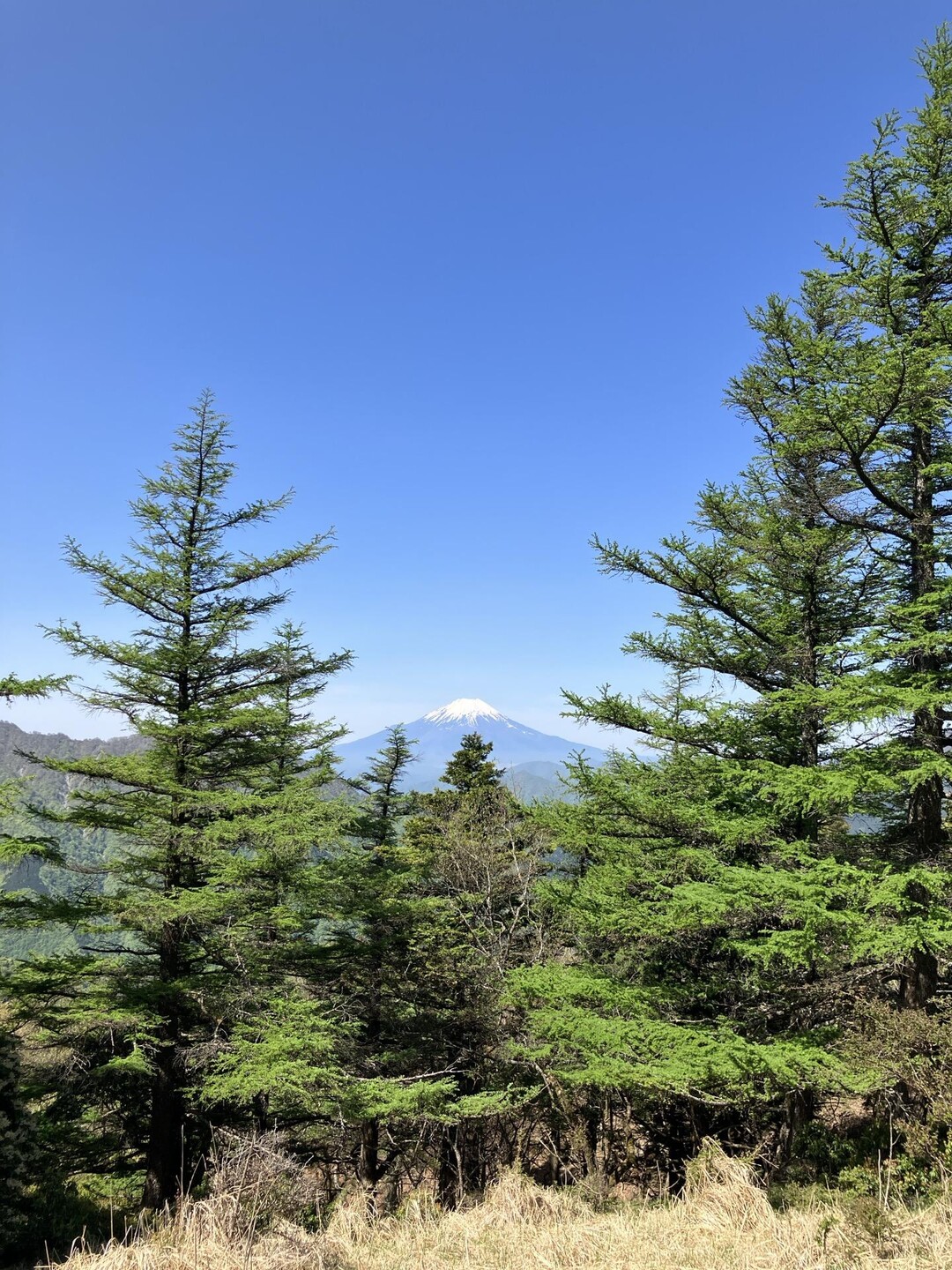 姫次・蛭ヶ岳 / shさんの塔ノ岳・丹沢山・蛭ヶ岳の活動データ | YAMAP / ヤマップ