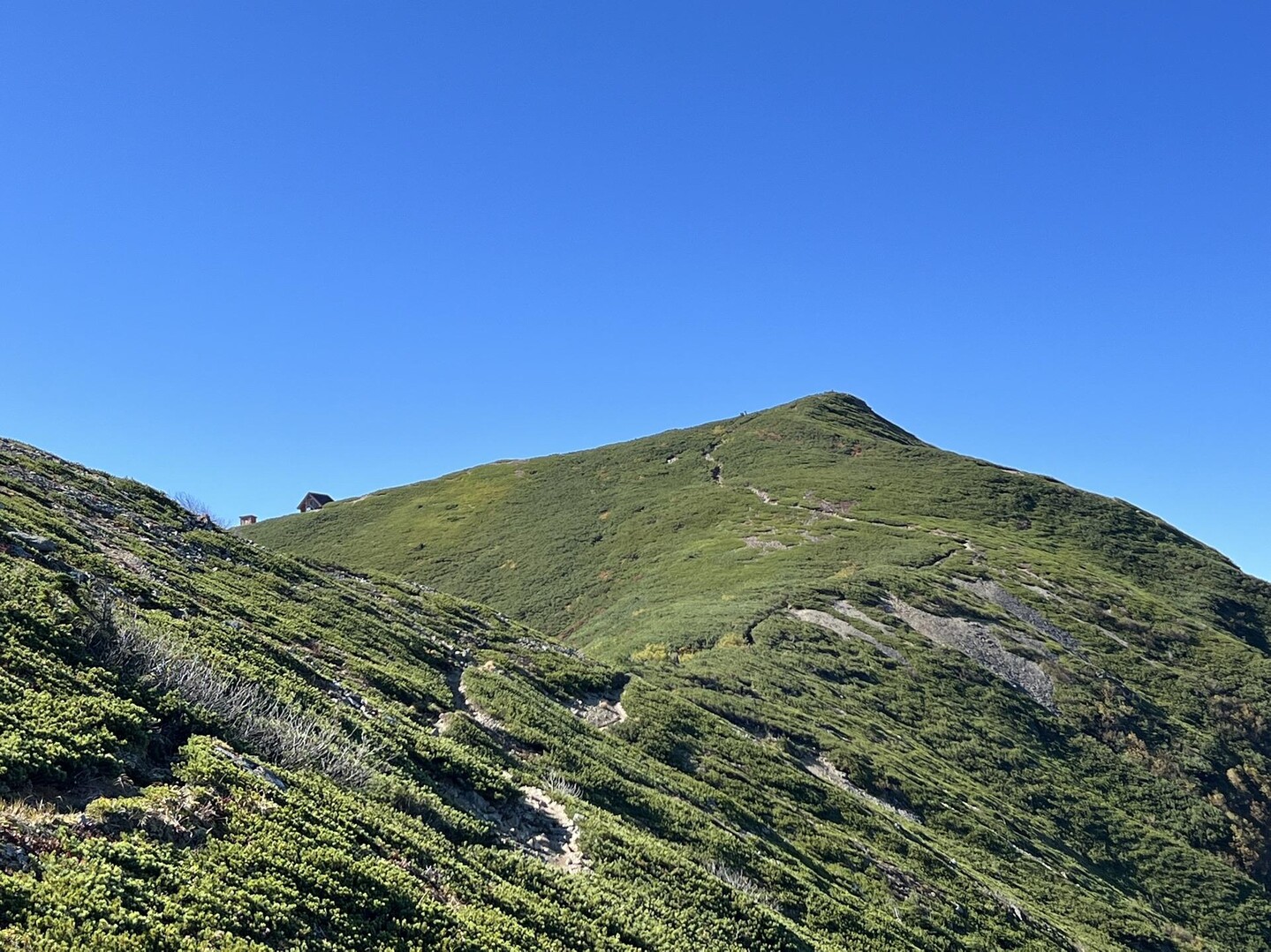 烏帽子岳・小河内岳 / togonovoさんの塩見岳・権右衛門山・蝙蝠岳の活動データ | YAMAP / ヤマップ