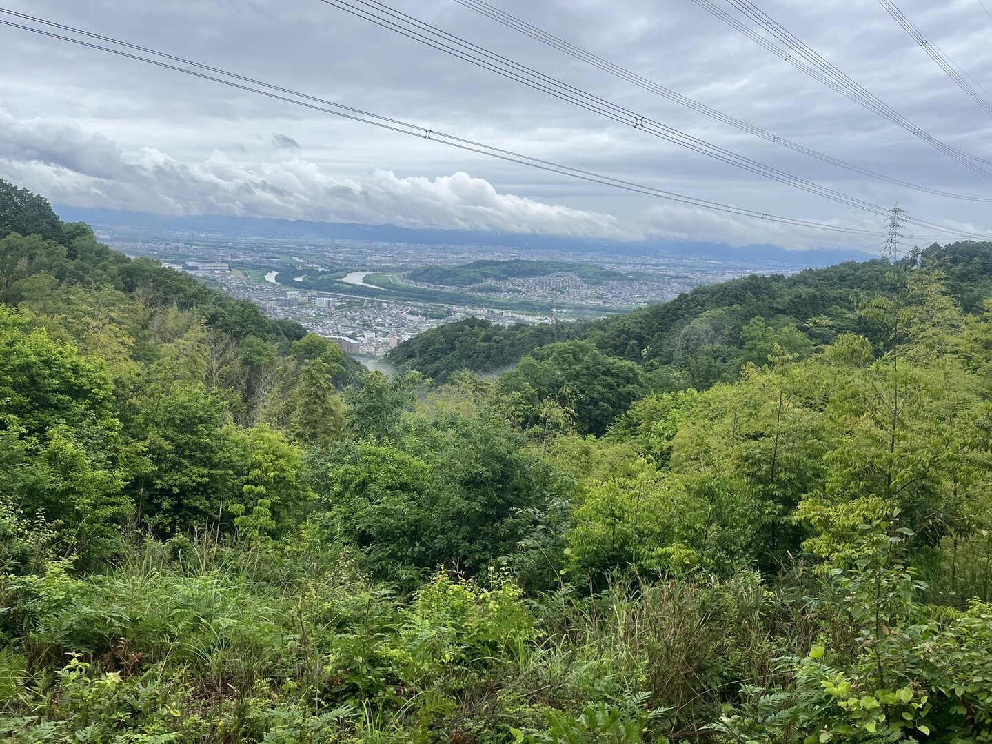 若山 トレラン入門コース / seiさんのポンポン山・釈迦岳・小塩山・若山の活動データ | YAMAP / ヤマップ