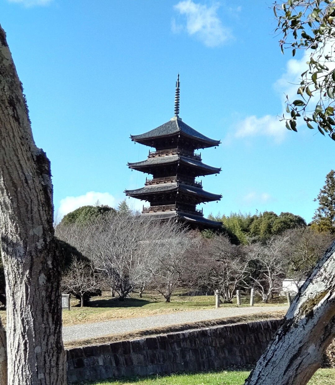 日差山・江田山・庚申山 / kちゃんさんの吉備路の山全山縦走大会の活動データ | YAMAP / ヤマップ