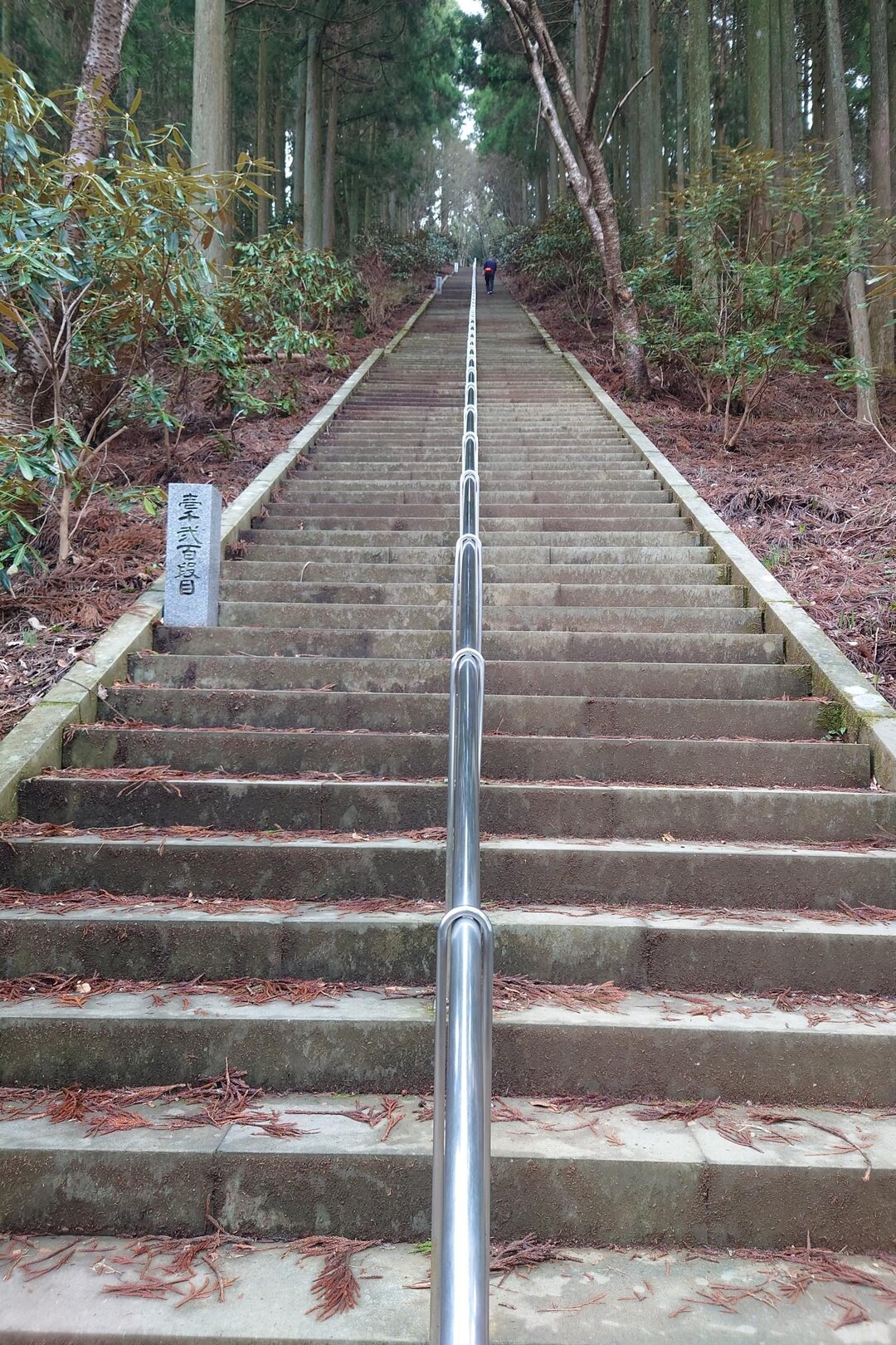 日本一の石段『3333段』 / 夏茉さんの阿蘇山・高岳・根子岳の活動データ | YAMAP / ヤマップ