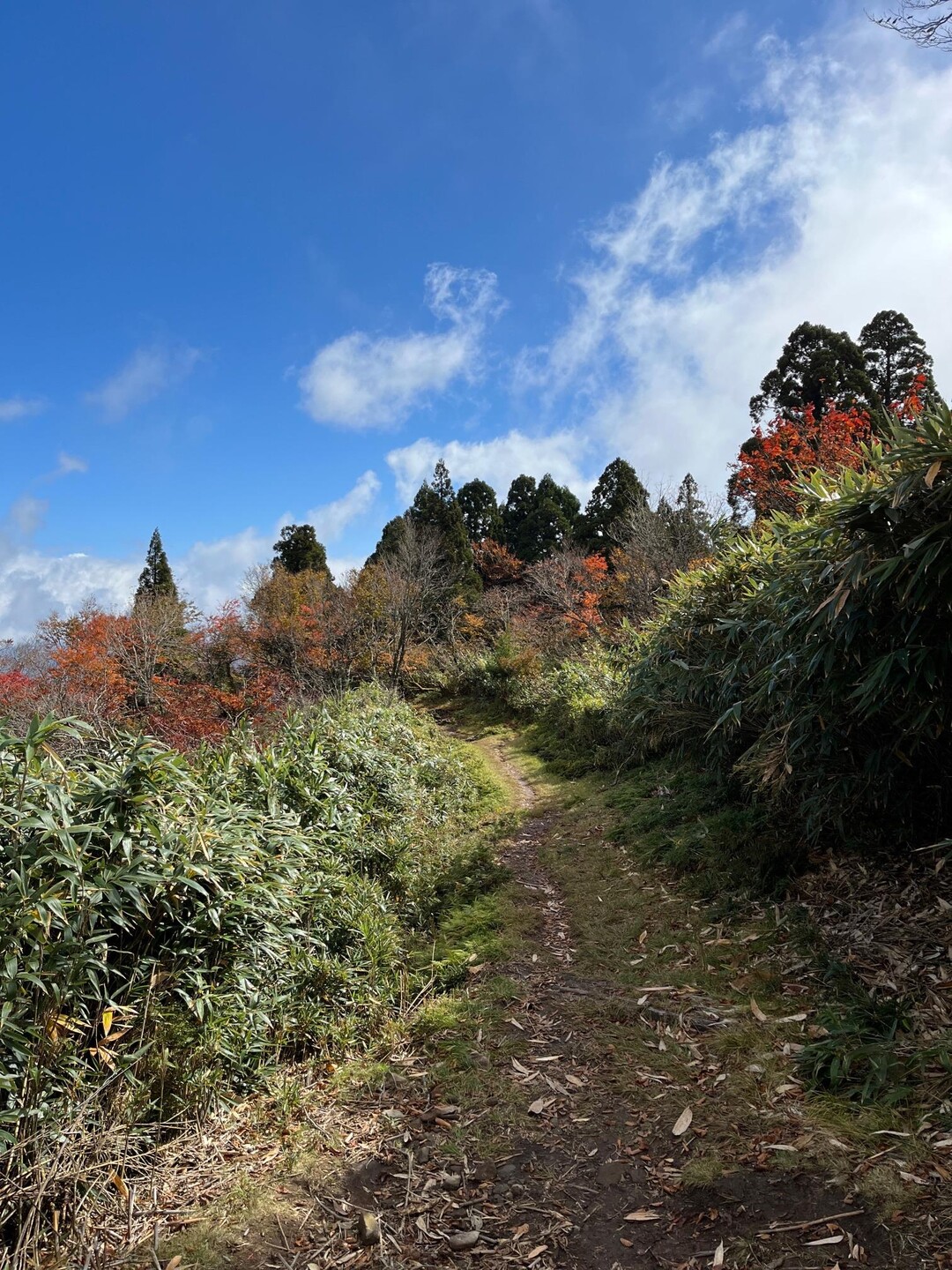はじめての氷ノ山（須賀ノ山）登山へ。 / ユキひろさんの氷ノ山（須賀ノ山）・鉢伏山・瀞川山の活動日記 | YAMAP / ヤマップ