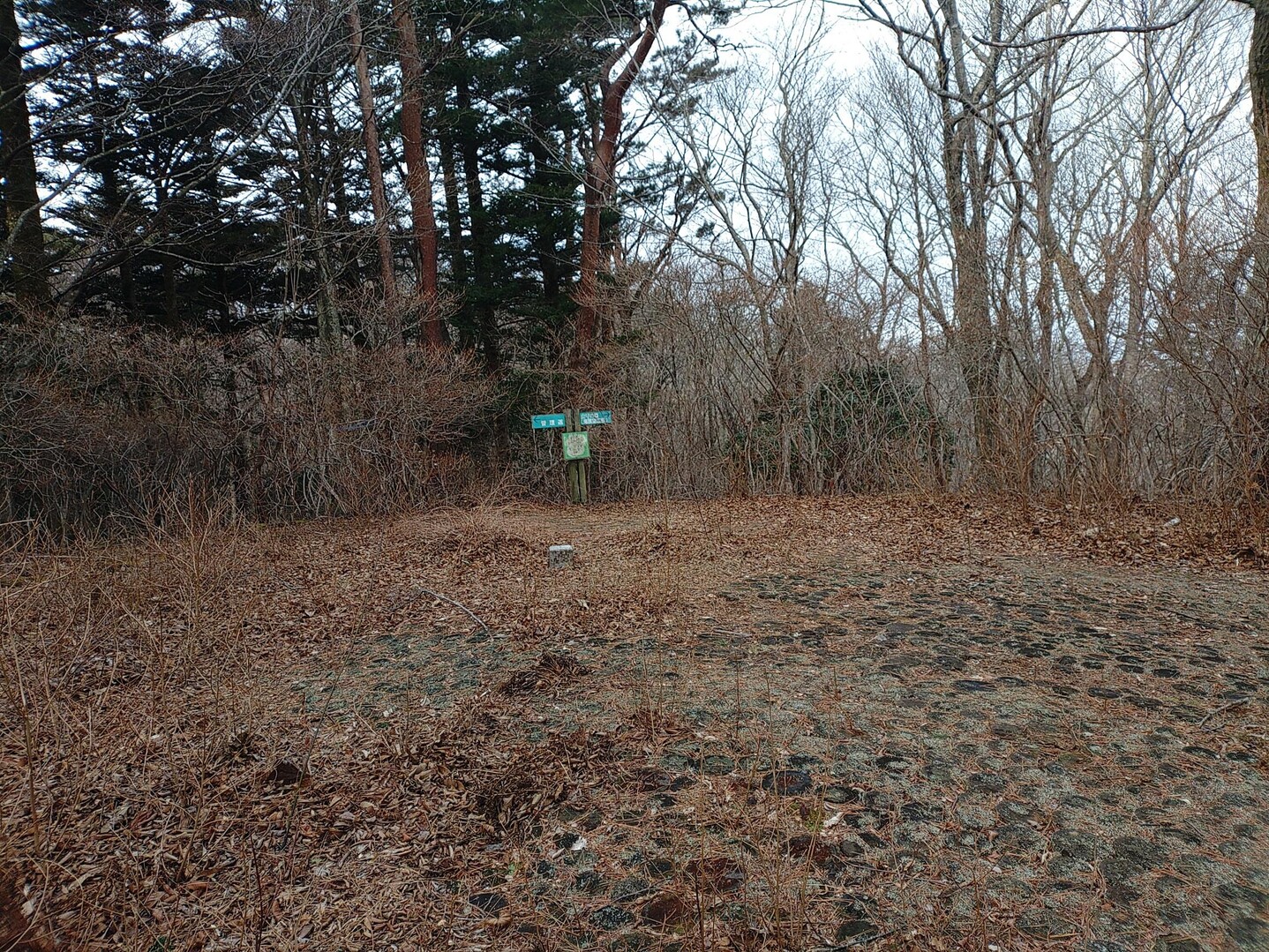 五社山(広野町) / ねもさんの五社山の活動データ | YAMAP / ヤマップ