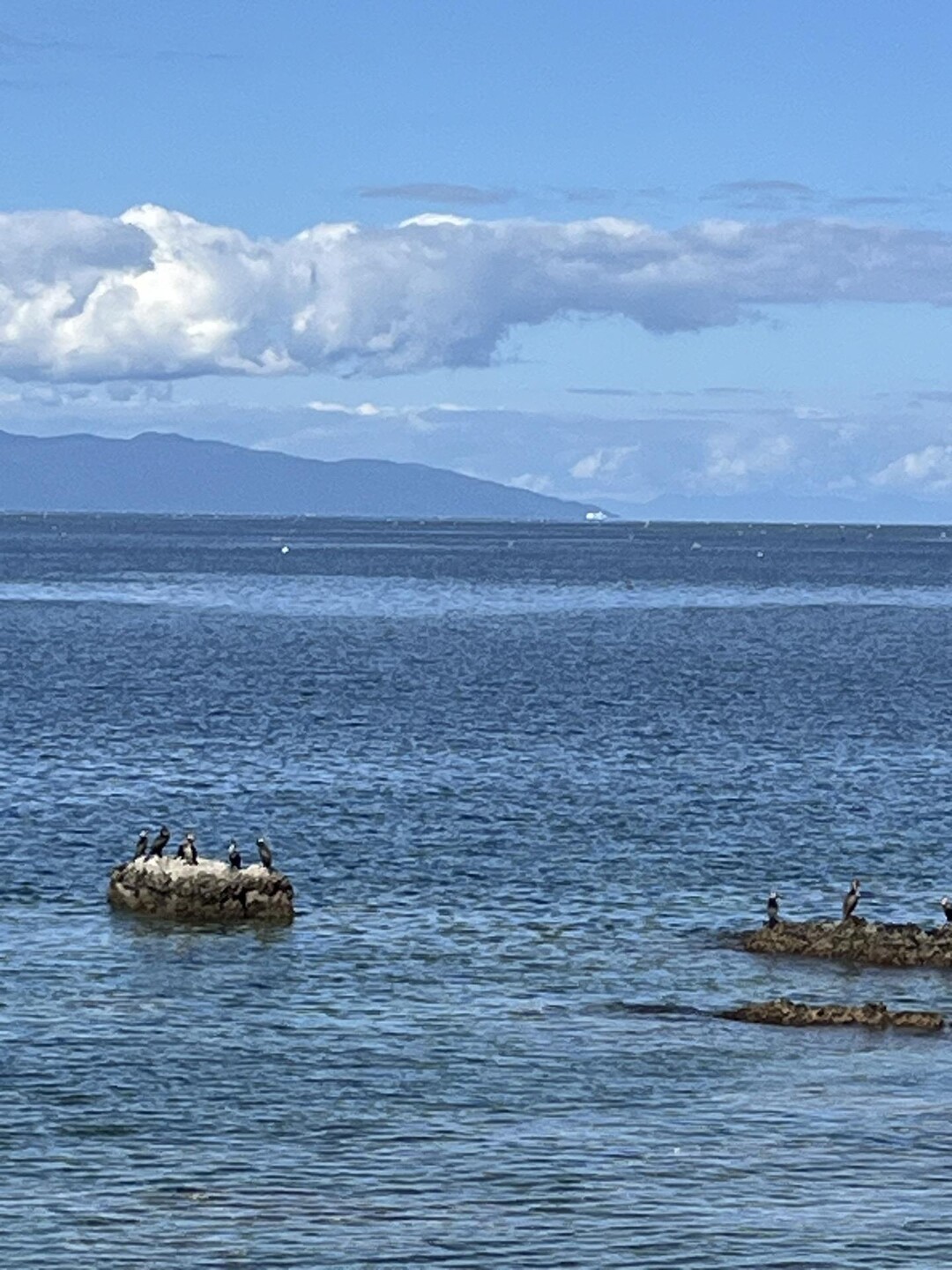 夏泊半島一周🚴🏼‍♀️サイクリング 10-06 / SHOさんの高森山・屋敷山の活動データ | YAMAP / ヤマップ