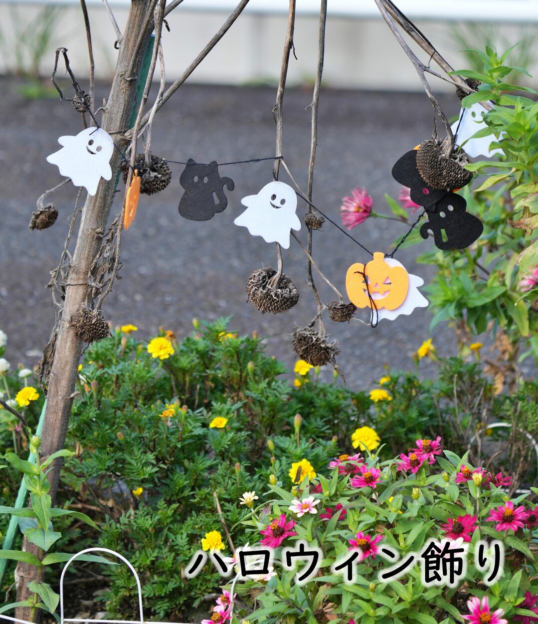 今日は昨日と比べるととても寒かったですね... / アキチャン1491さんのモーメント | YAMAP / ヤマップ