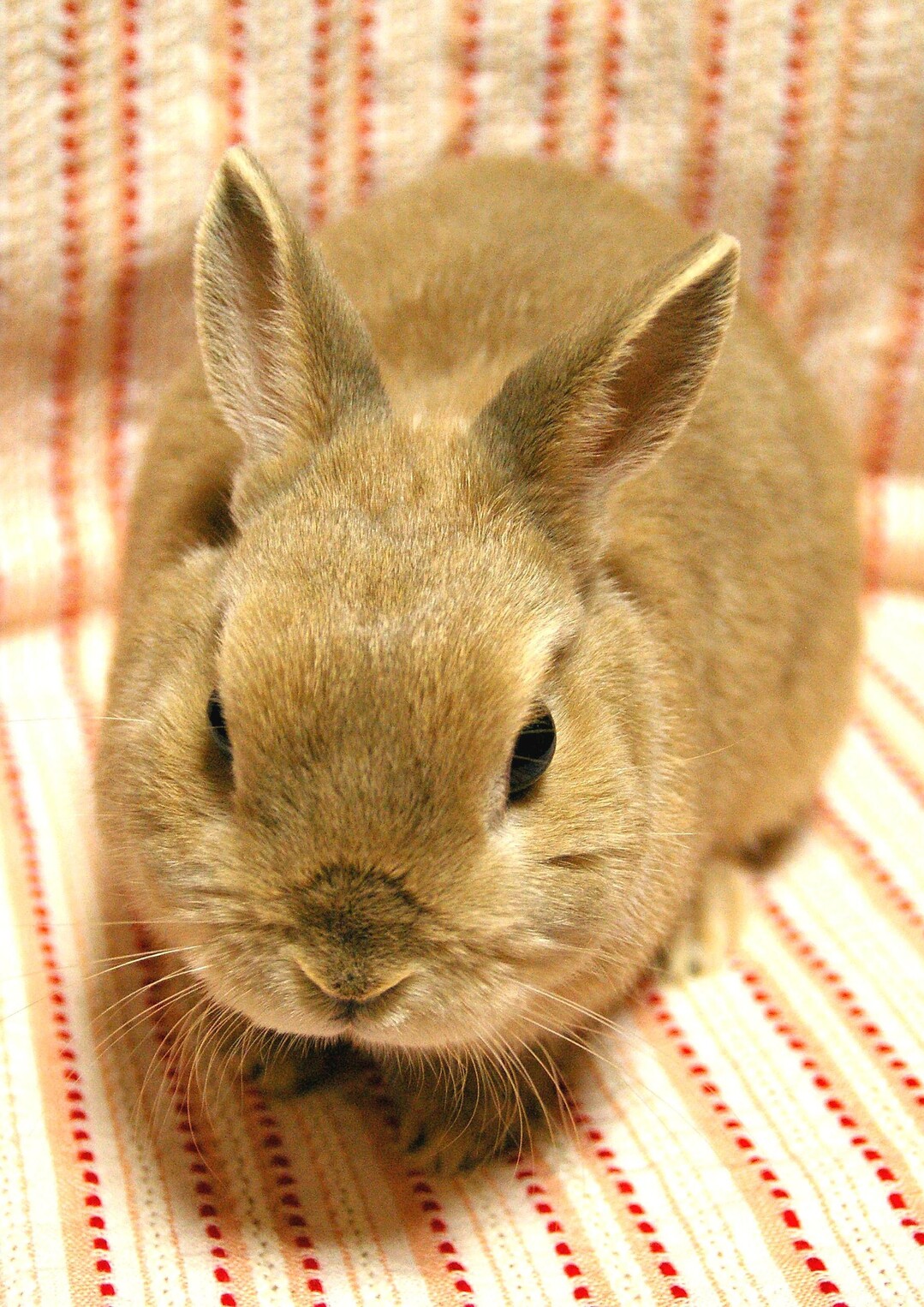 SOLAのページ | YAMAP / ヤマップ