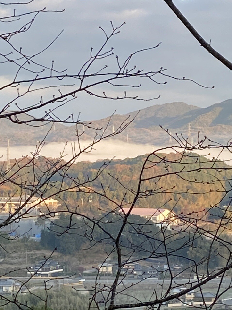 もうすぐ嫁さんの3回忌やから、その前に田... / yasuさんのモーメント | YAMAP / ヤマップ