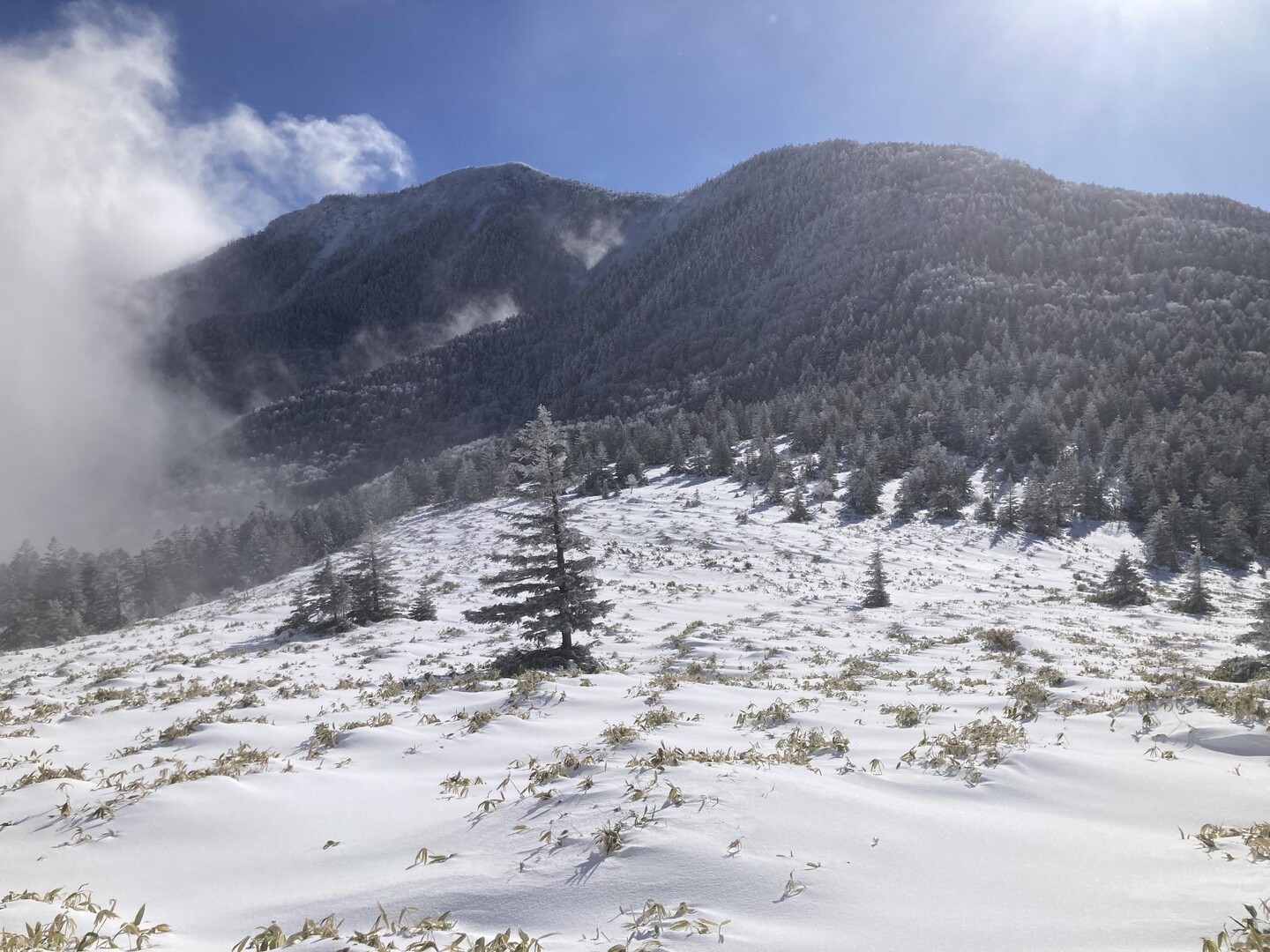 四阿山・根子岳(菅平牧場→根子岳→四阿山→菅平牧場) / K.TAIRAさんの四阿山・根子岳の活動データ | YAMAP / ヤマップ