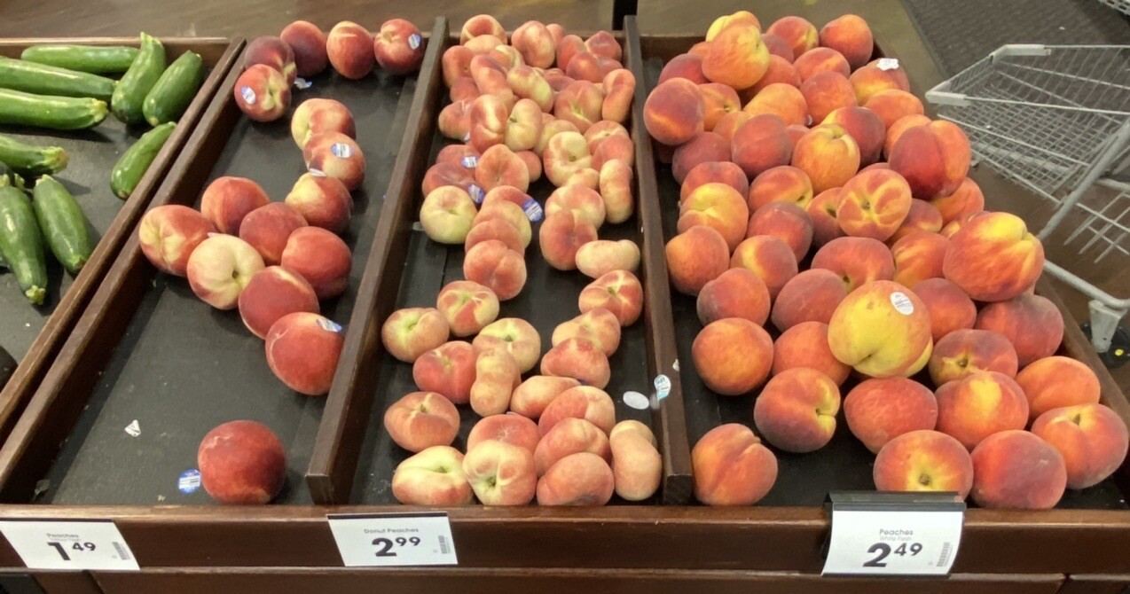 土曜から雨☔️で、上がったのが日曜の午後... / tinamtさんのモーメント | YAMAP / ヤマップ