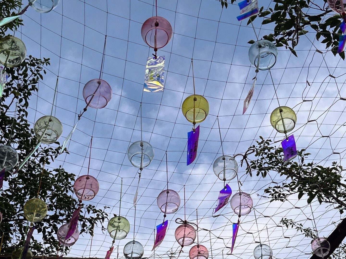 宮地山へ山歩とおまけ / kohiさんの宮地山・在自山の活動データ | YAMAP / ヤマップ