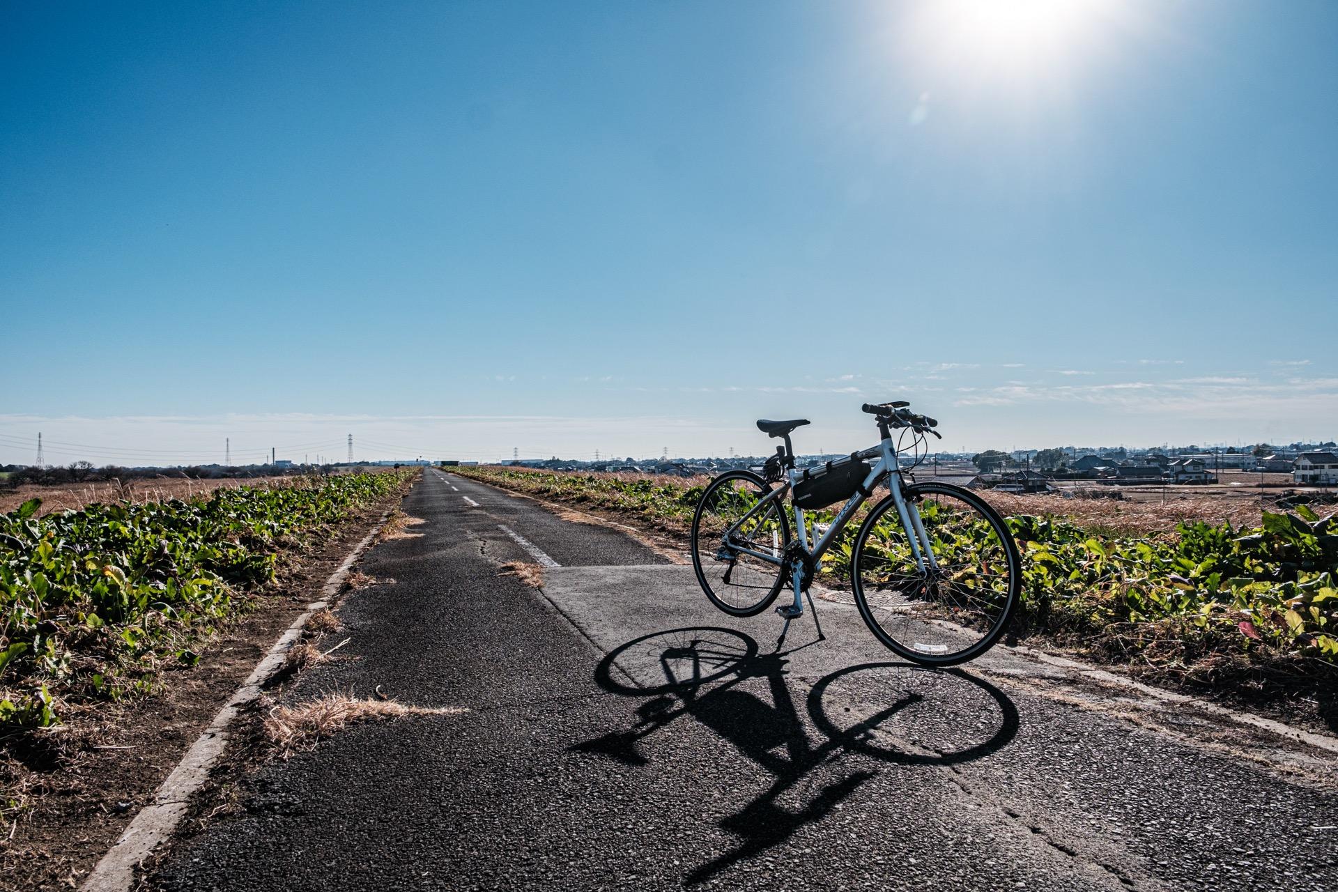 実家帰省という名のストイックごっこ🤣 / Endo Shinyaさんのサイクリングの活動データ | YAMAP / ヤマップ
