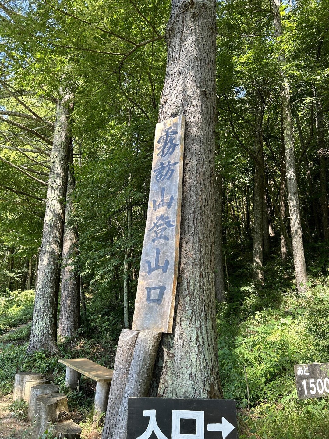 霧訪山 / Mr.Jさんの霧訪山・大芝山・鳴雷山の活動データ | YAMAP / ヤマップ