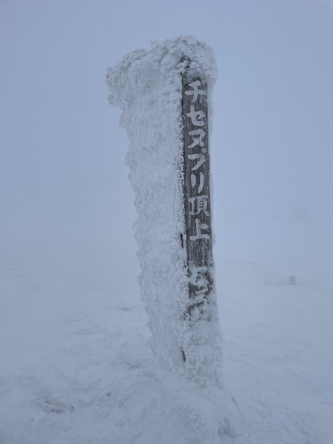 チセヌプリ・832m峰 BC⛷ / イッシさんのニセコアンヌプリ・イワオヌプリ・チセヌプリの活動データ | YAMAP / ヤマップ