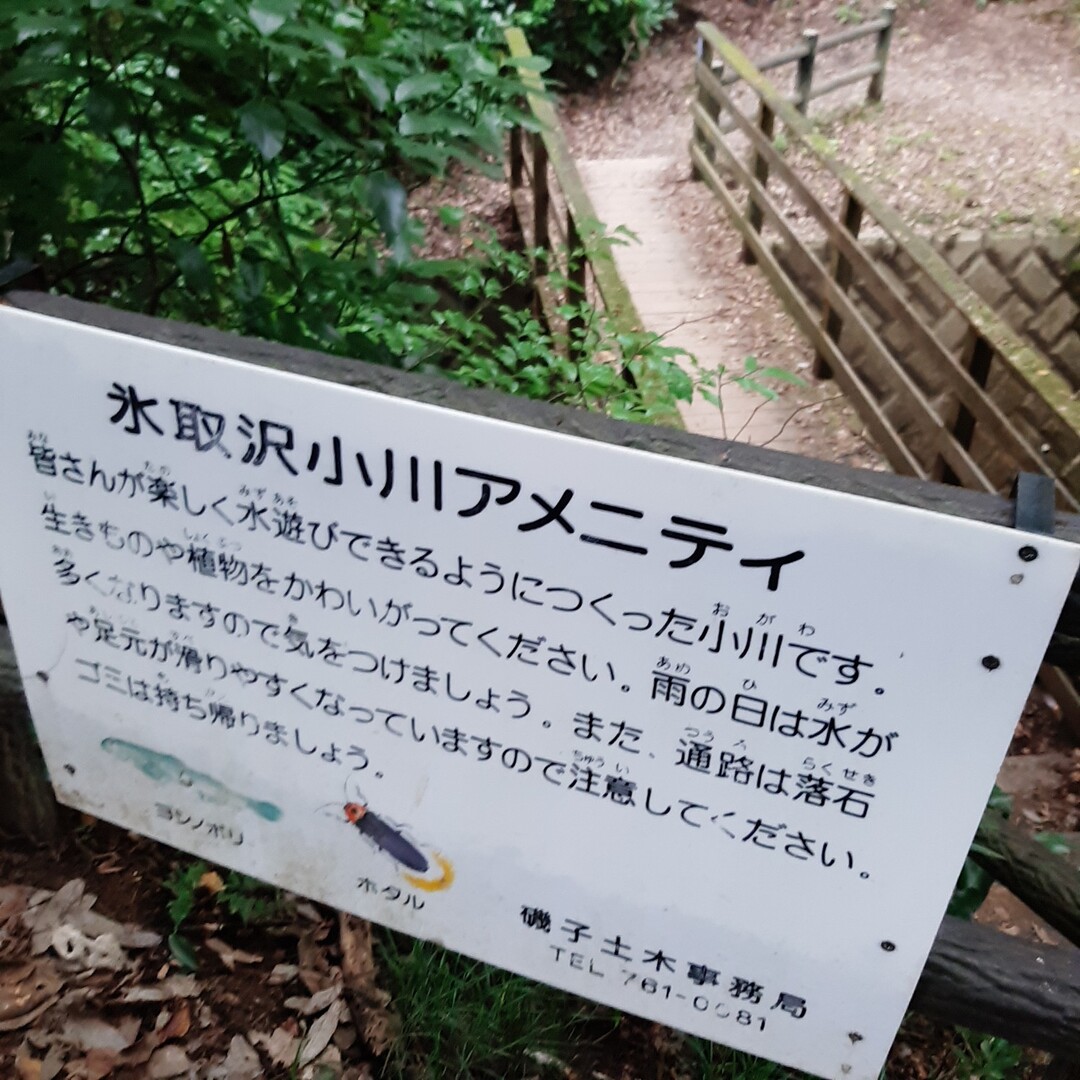 氷取沢･瀬上市民の森 - 港南台駅 - 横浜自然観察の森 / NORさんの鎌倉アルプス（大平山・天台山）の活動データ | YAMAP / ヤマップ