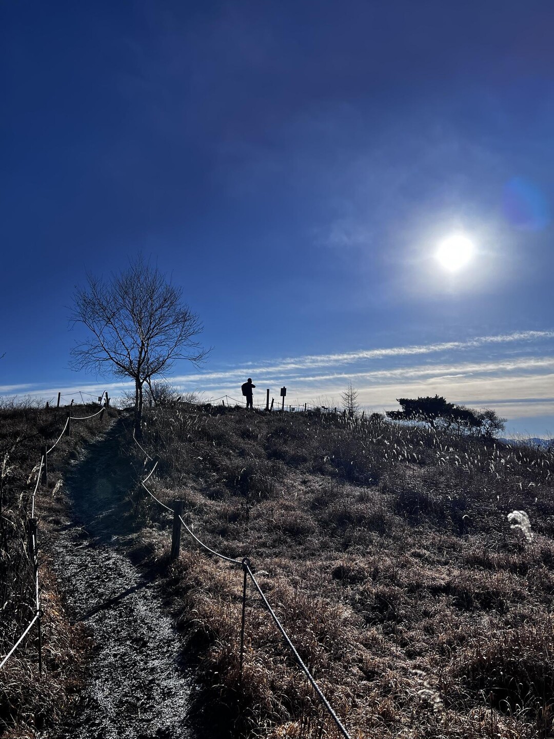 挑戦‼️山梨100名山 #13大蔵高丸 / S409さんの雁ヶ腹摺山・岩殿山の活動データ | YAMAP / ヤマップ