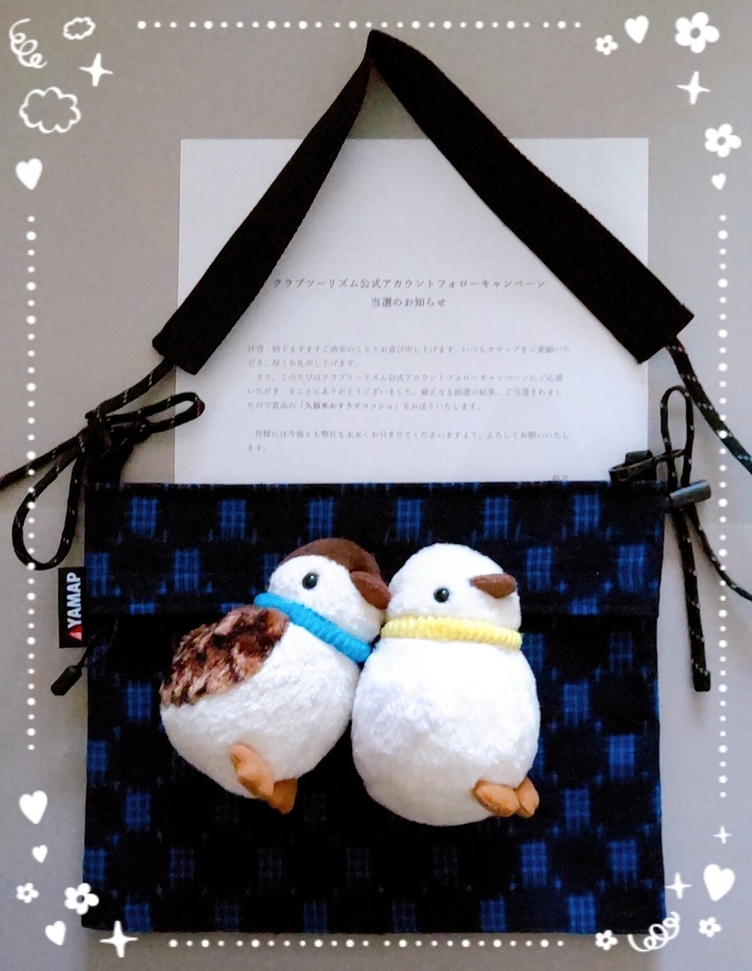 👑当選しました🙌 クラツー公式アカフ... / *yukapico**さんのモーメント | YAMAP / ヤマップ