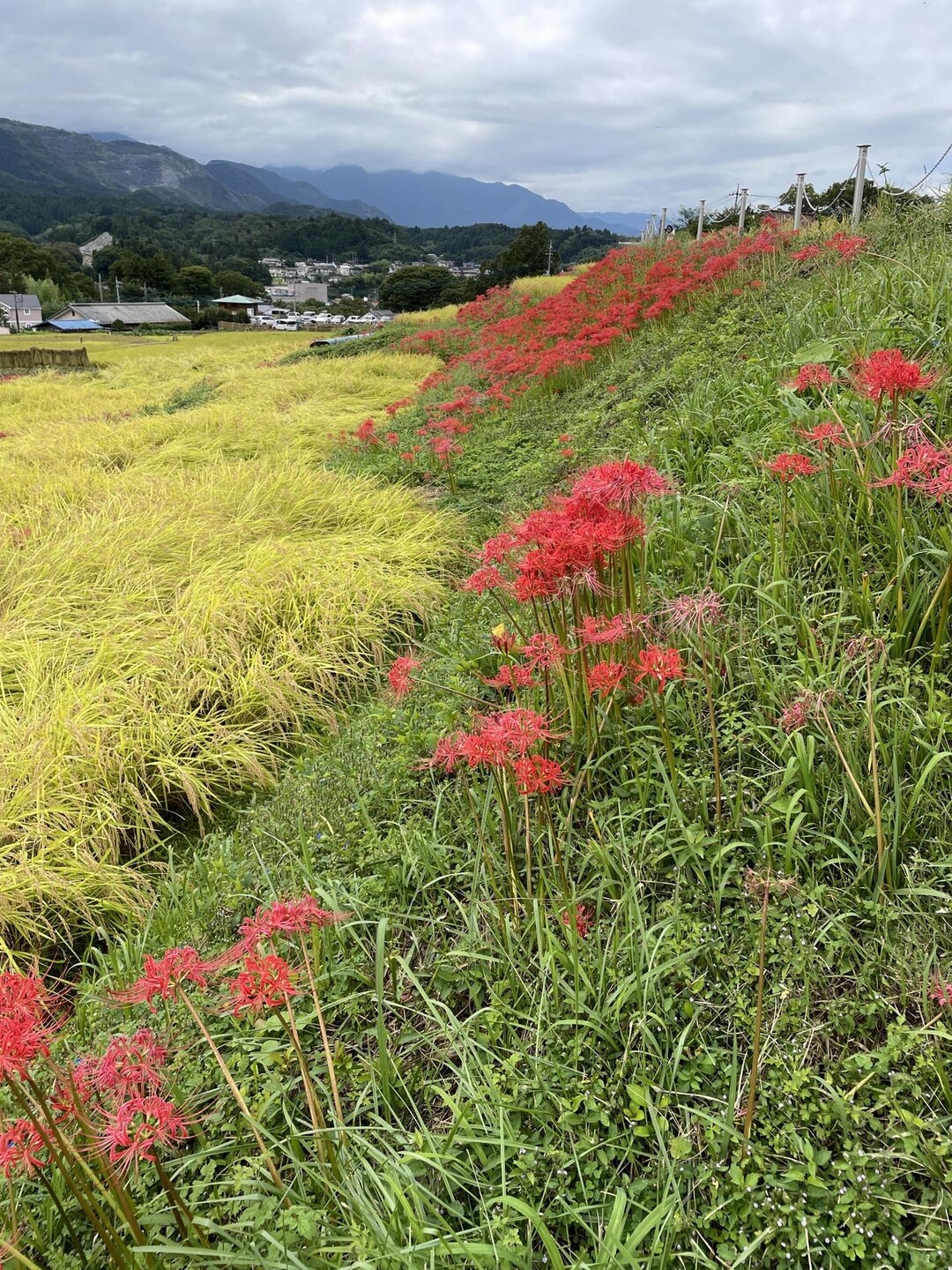 2022.10.01(土) 11:51 / りょうさんのモーメント | YAMAP / ヤマップ