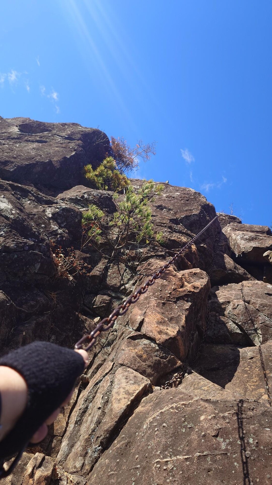 はじめましての弥勒穴。嵩山 / s_nakanoさんの嵩山の活動データ | YAMAP / ヤマップ