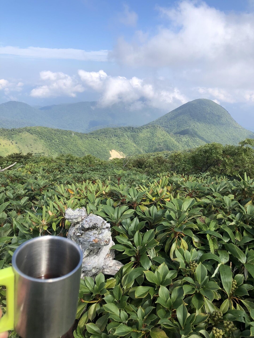猿ヶ鼻・大白森山 / Yasさんの二岐山・大白森山・小白森山の活動データ | YAMAP / ヤマップ