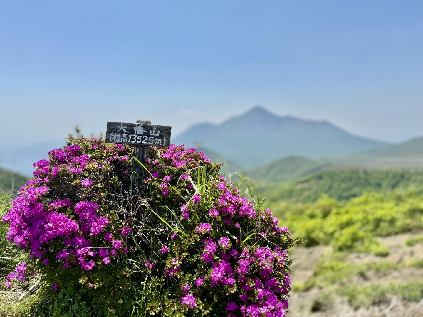 MK🌸満開…大幡山・大幡前山 / Red-RAV4💫さんの霧島山・韓国岳・高千穂峰・夷守岳・烏帽子岳の活動データ | YAMAP / ヤマップ