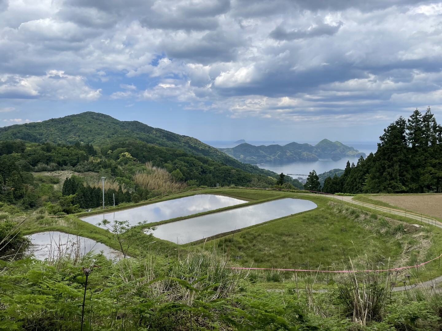 舞鶴とれとれトレイルラン33kmコース＋α / Mty333さんのトレイルランニングの活動データ | YAMAP / ヤマップ