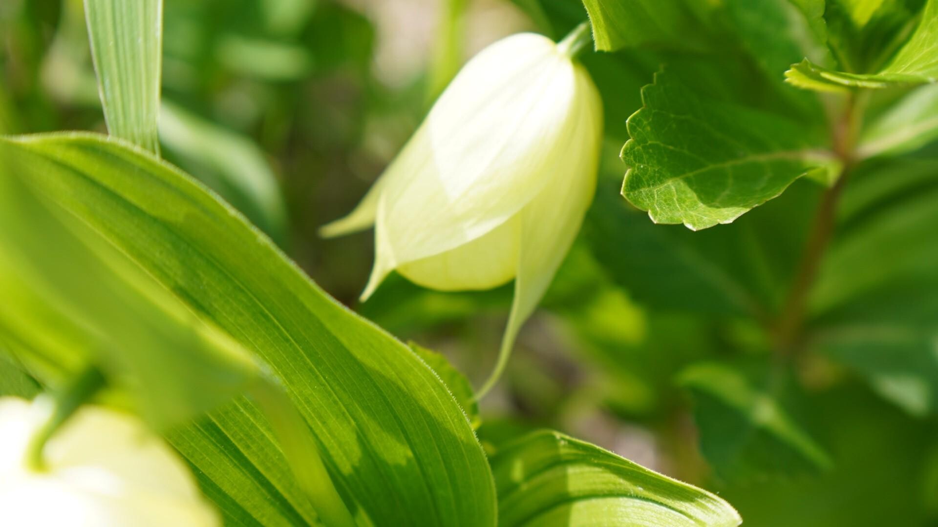 クボリン 1123226のページ | YAMAP / ヤマップ