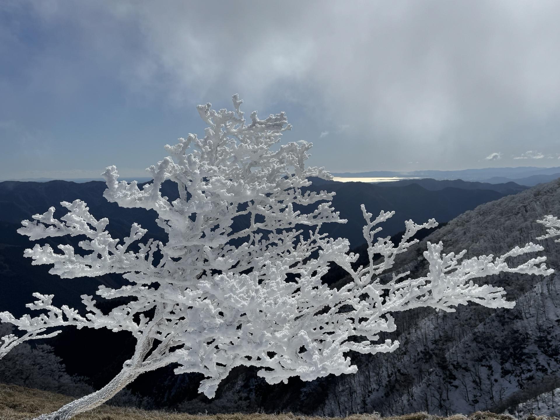 竜王山・三峯山・綿向山 / mt.take4さんの綿向山の活動データ | YAMAP / ヤマップ