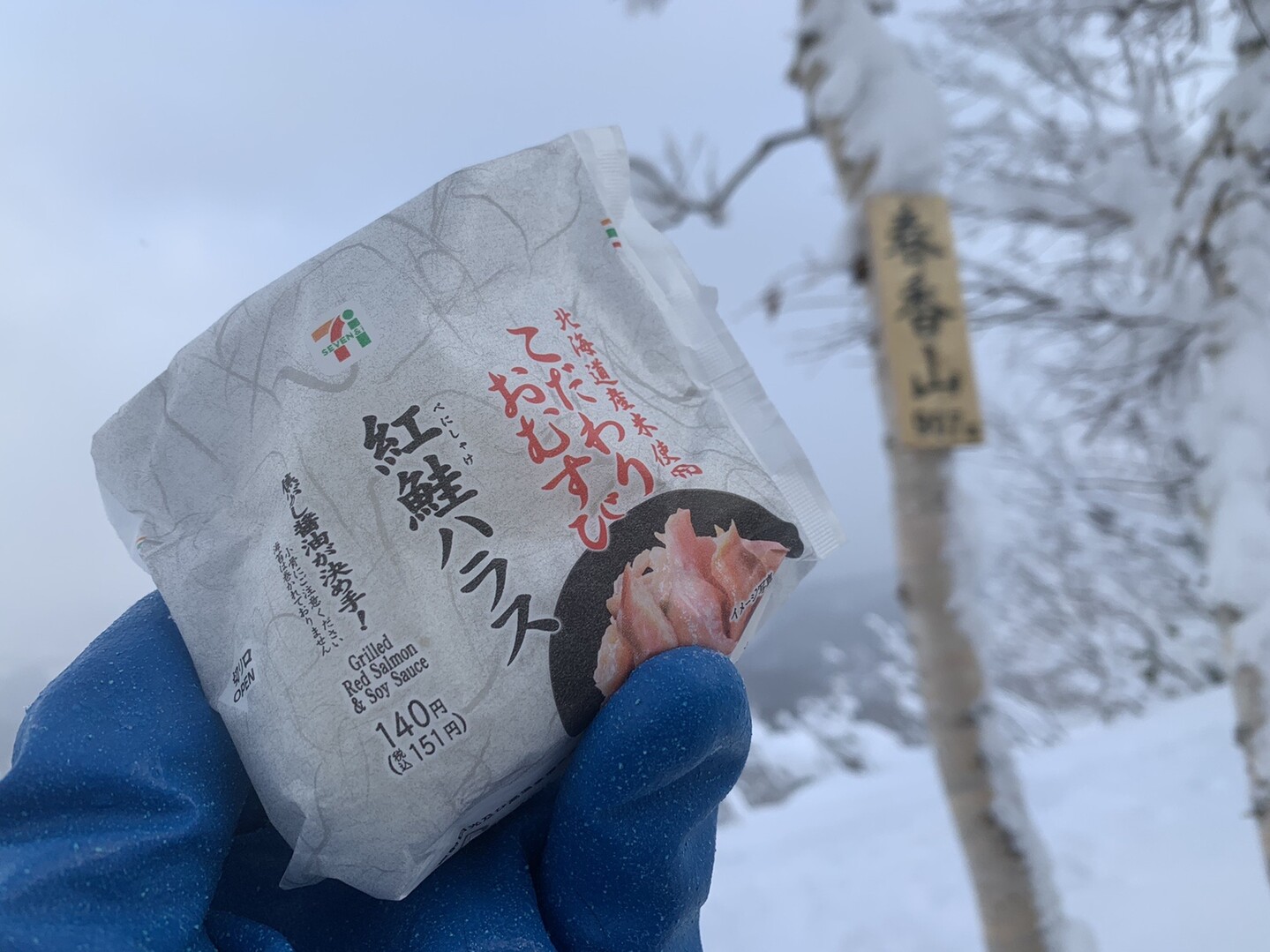 19/20#5 またまた春香山 / bono.さんの春香山・銭函峠・銭函天狗山の活動データ | YAMAP / ヤマップ