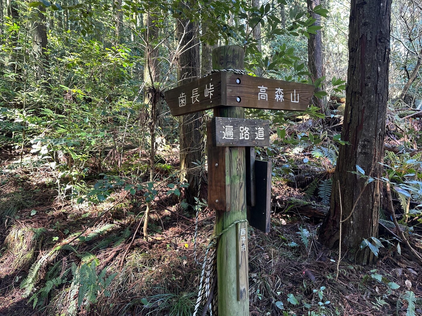 遍路14日目 宇和島から伊予大洲までの遍路を激走！ / RIckさんの登山の活動データ | YAMAP / ヤマップ