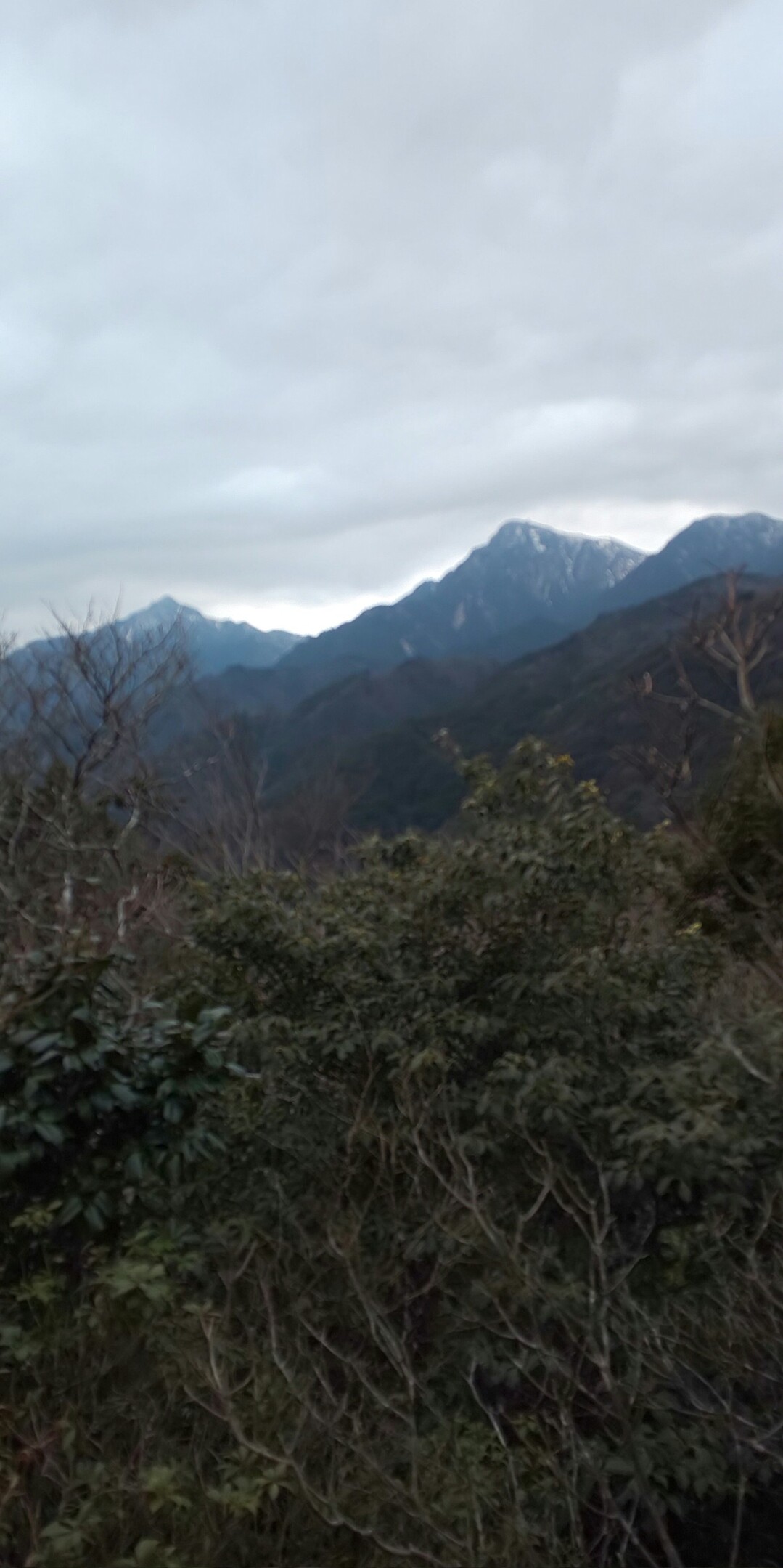 Sunちゃん0315さんの投稿したフィールドメモ | YAMAP / ヤマップ