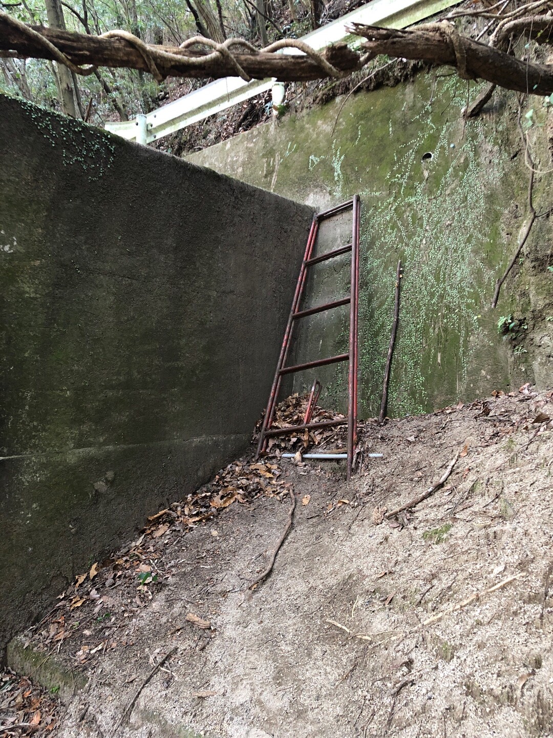 chitoさんの投稿したフィールドメモ | YAMAP / ヤマップ