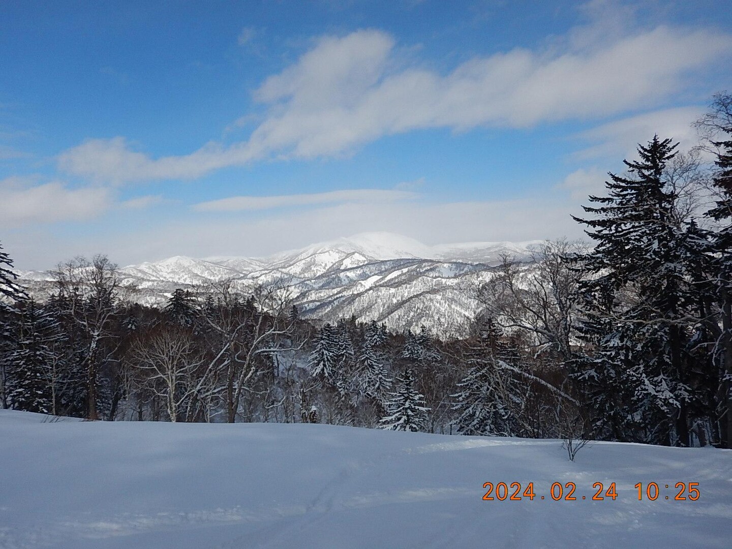 長尾山・千尺高地 2024-02-24 / came-ponさんの無意根山の活動データ | YAMAP / ヤマップ