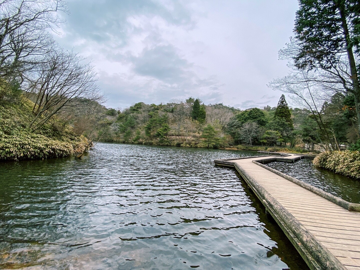 摩耶山・摩耶別山・新穂高 / kobuta さんの神戸市の活動データ | YAMAP / ヤマップ